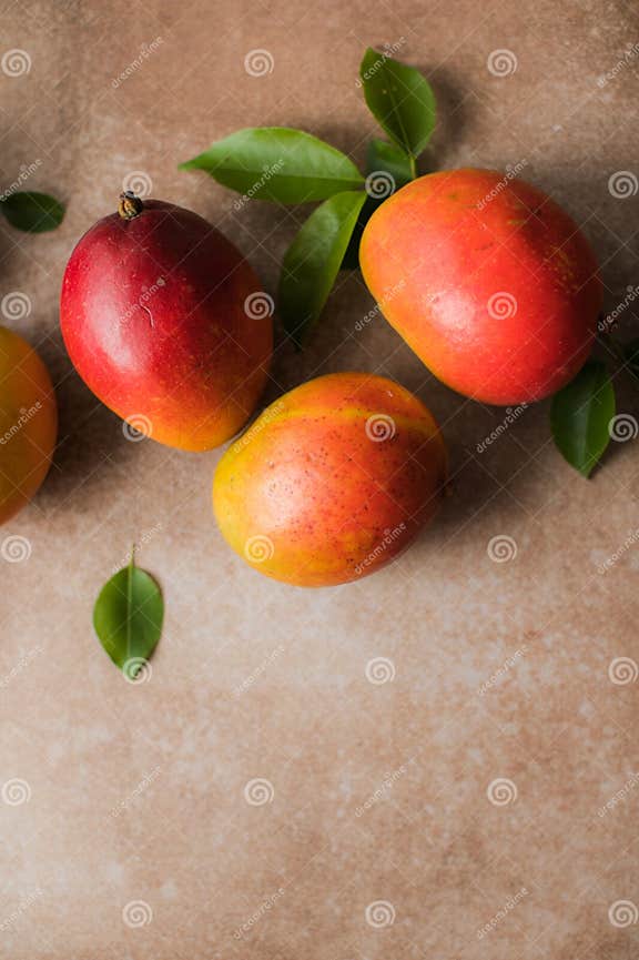 Mango Background Design Concept. Top View of Fresh Mango Fruit Pattern ...