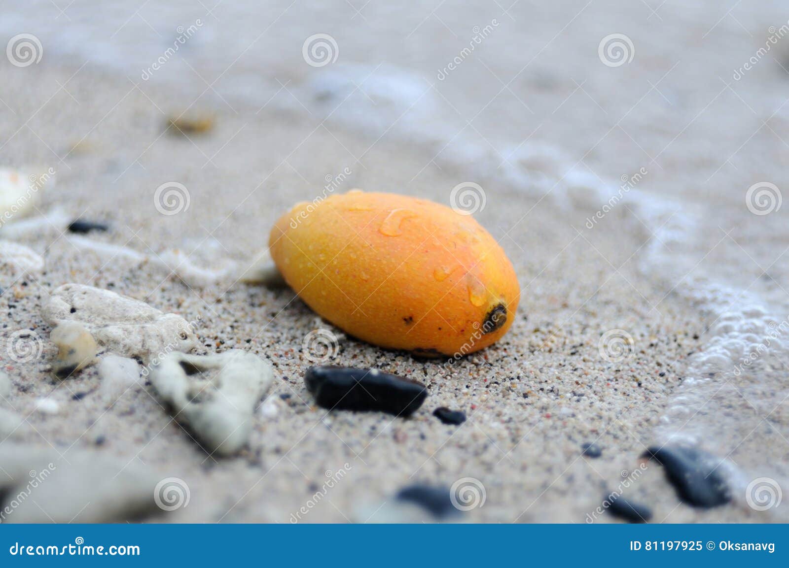 Mango on a beach stock image. Image of organic, beach - 81197925