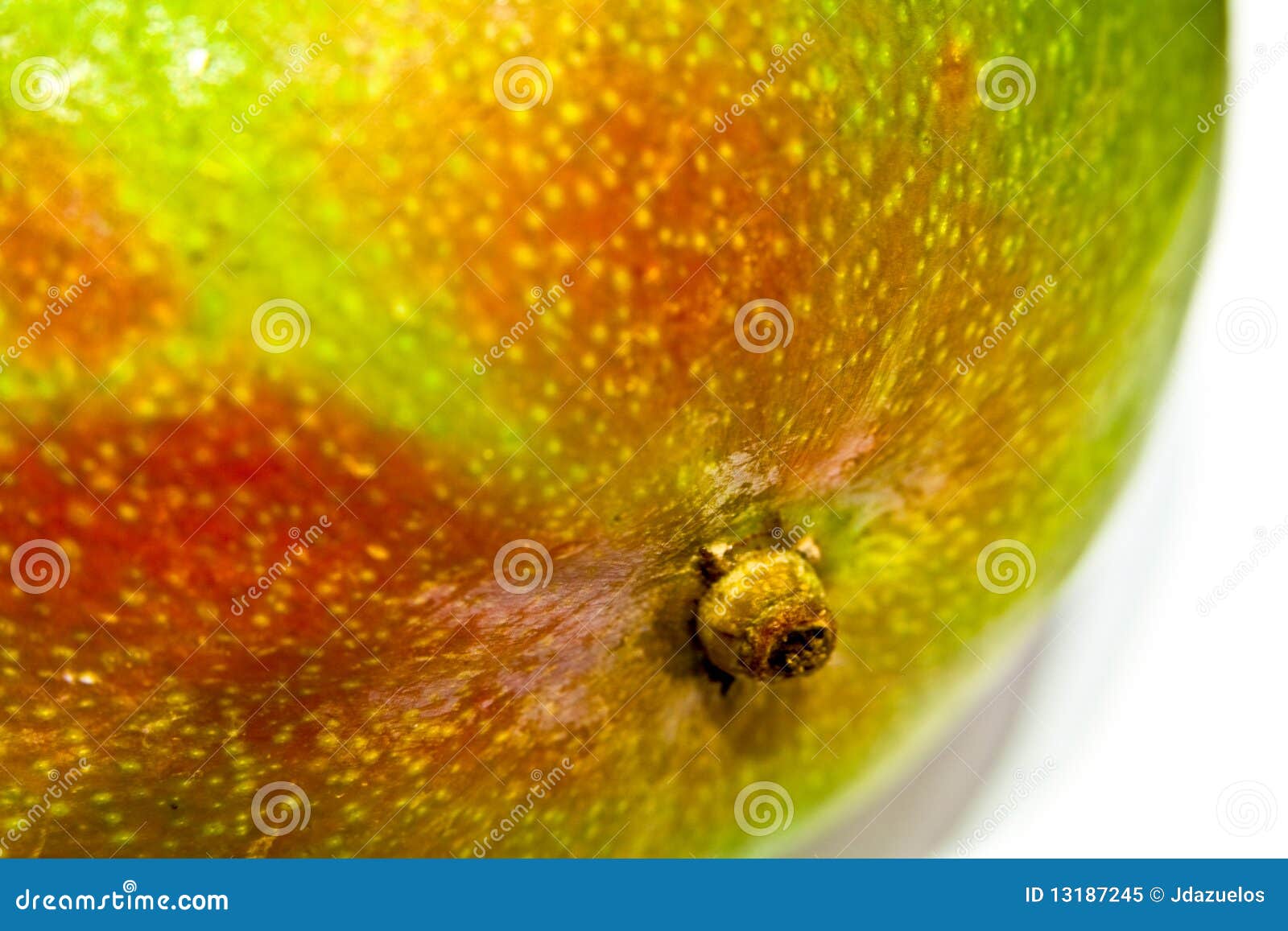 Mango Close Up stock image. Image of diet, nutrition - 13187245