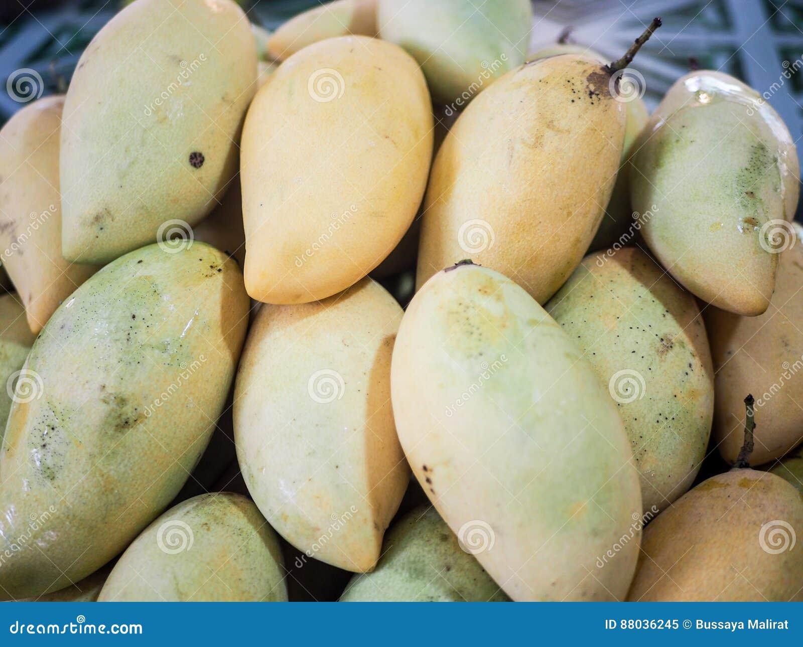 Mango stock image. Image of thai, background, mango, light - 88036245