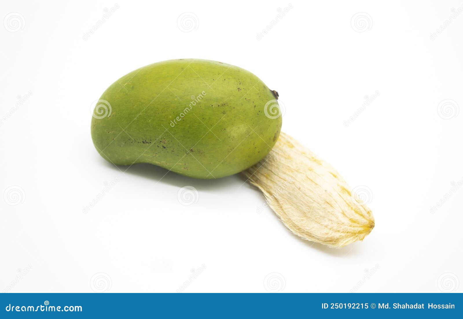 Mango Con Semillas De Mango Aisladas En Fondo Blanco Imagen de archivo ...