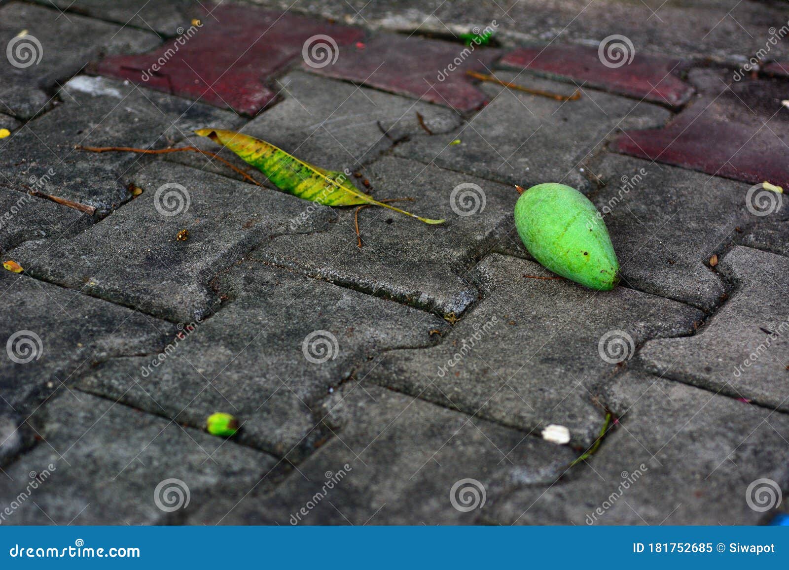 Mango on concrete block stock image. Image of industry - 181752685