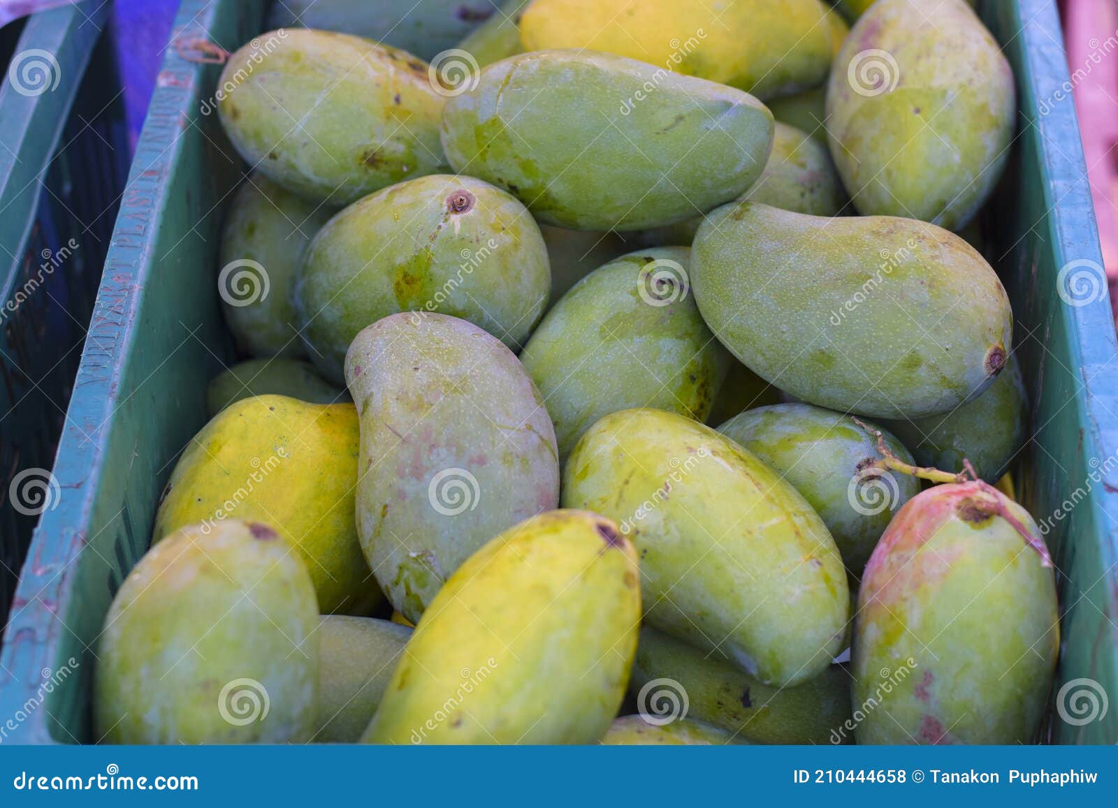 Mango in a container stock photo. Image of fresh, juicy - 210444658