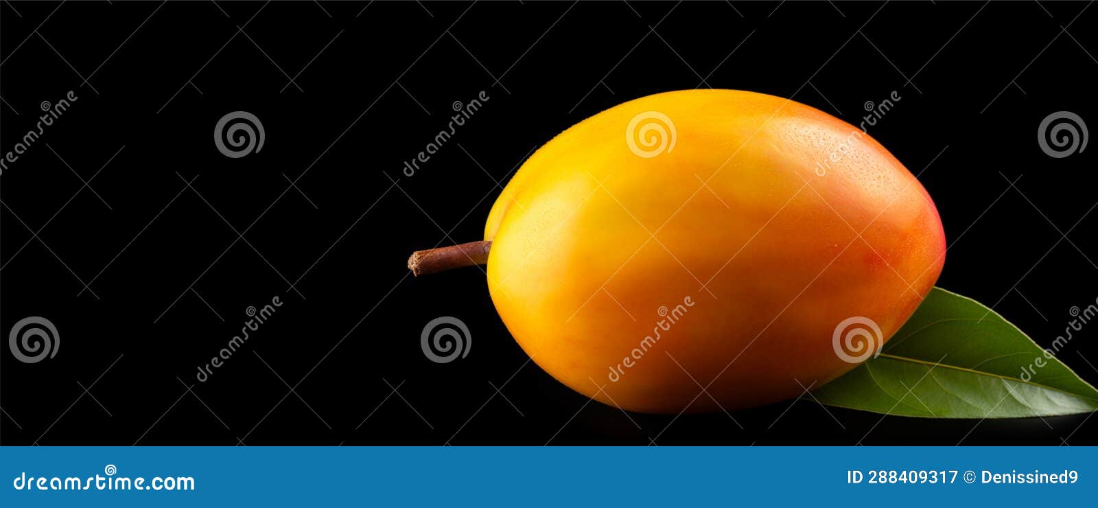 Mango on a dark background stock illustration. Illustration of nature ...
