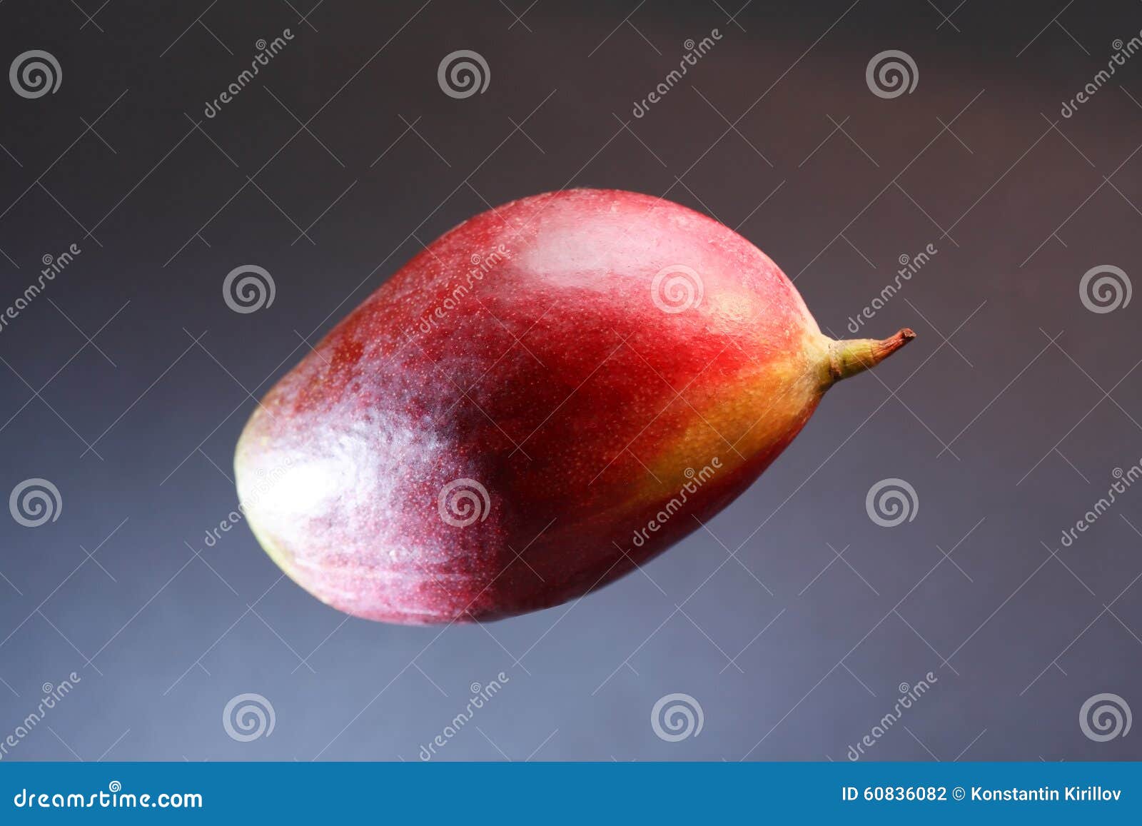 Mango on Dark stock photo. Image of lifestyle, eating - 60836082