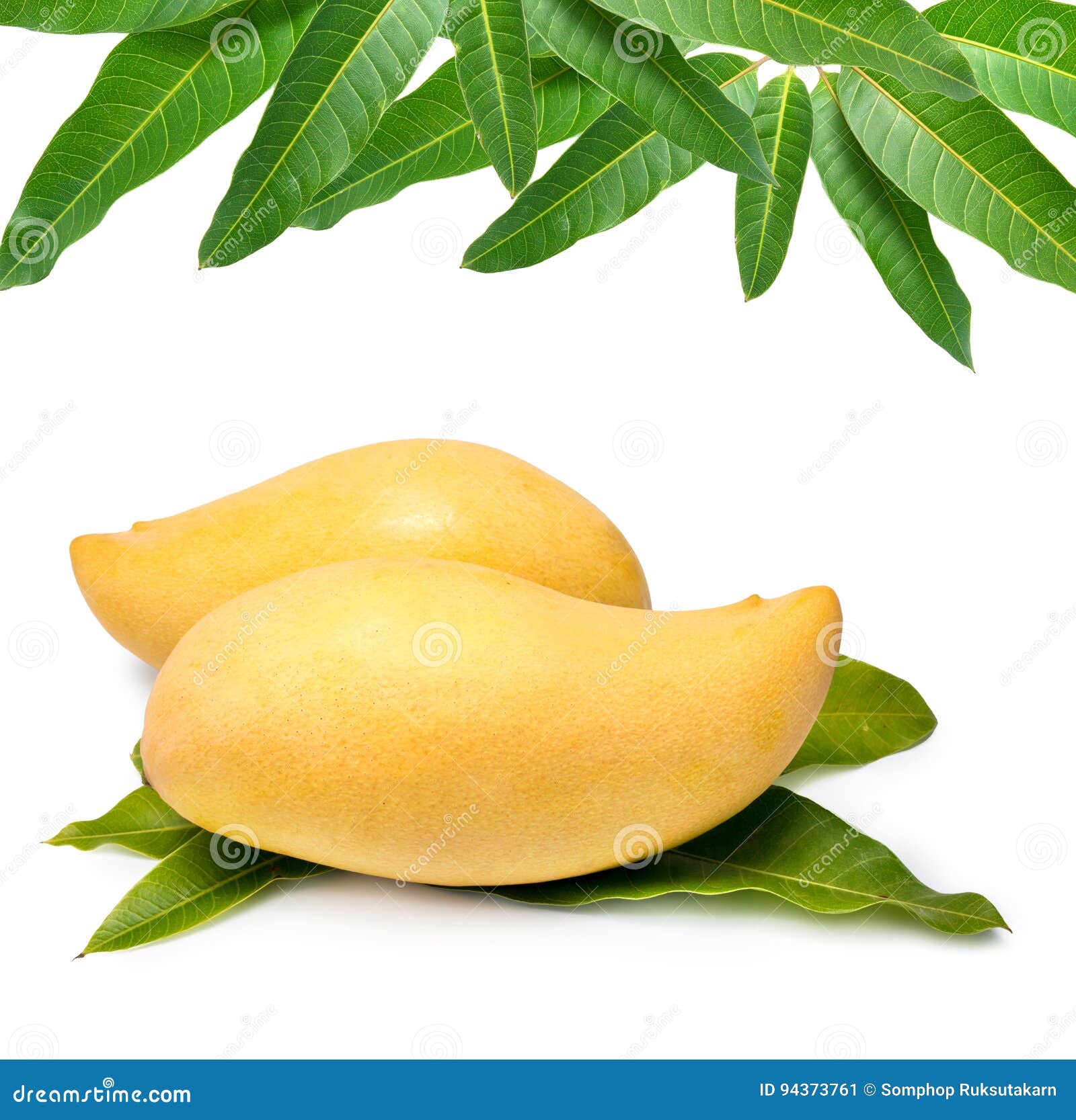 Mango De Oro Dulce Aislado En El Fondo Blanco Imagen de archivo ...