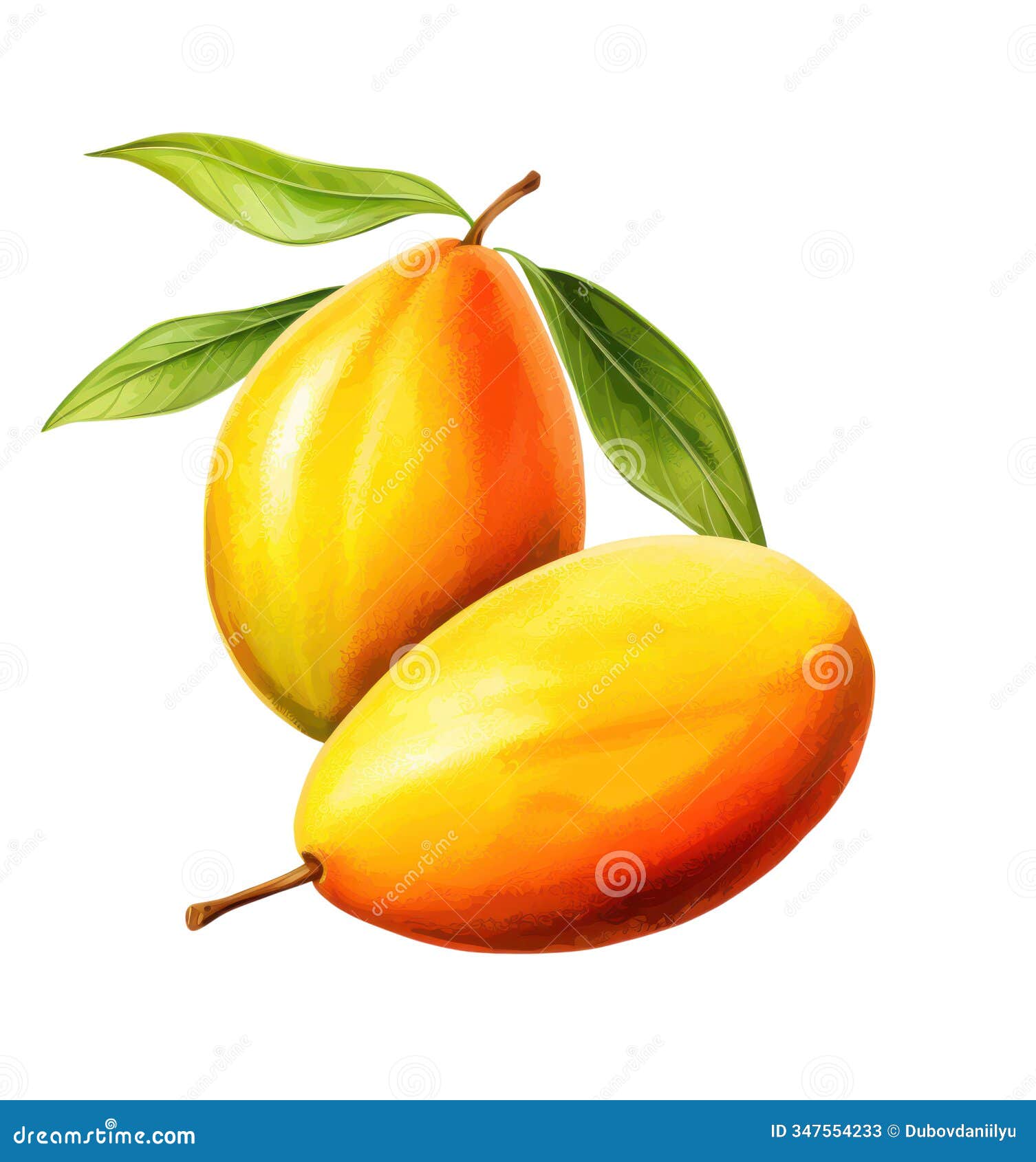 Mango Drawing on a Transparent Background in PNG Format, Great for Use ...