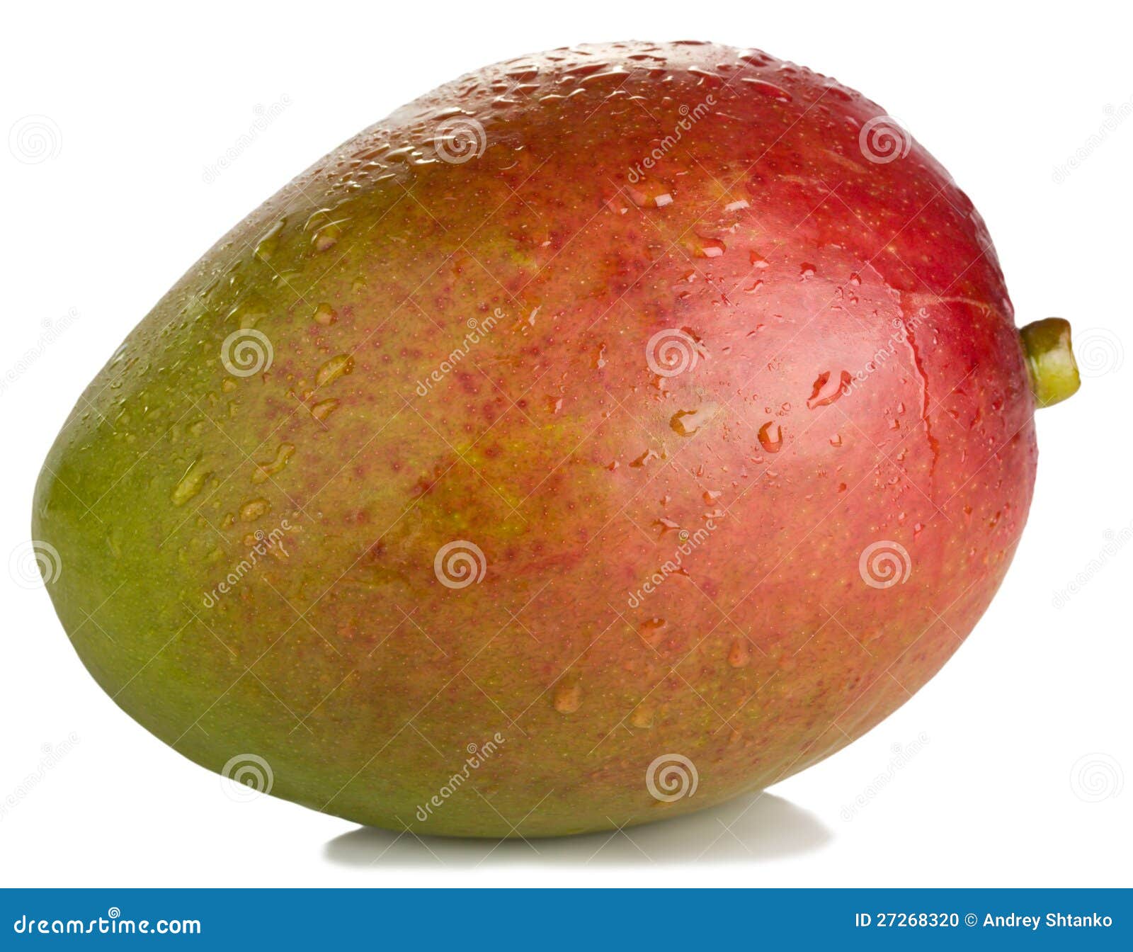 Mango with drops stock photo. Image of object, single - 27268320