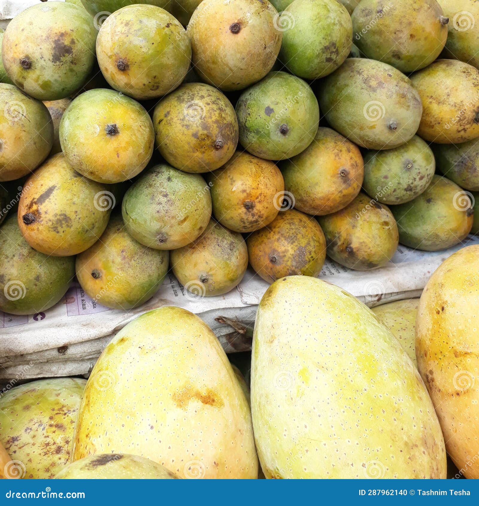 A Mango is an Edible Stone Fruit Produced by the Tropical Tree ...