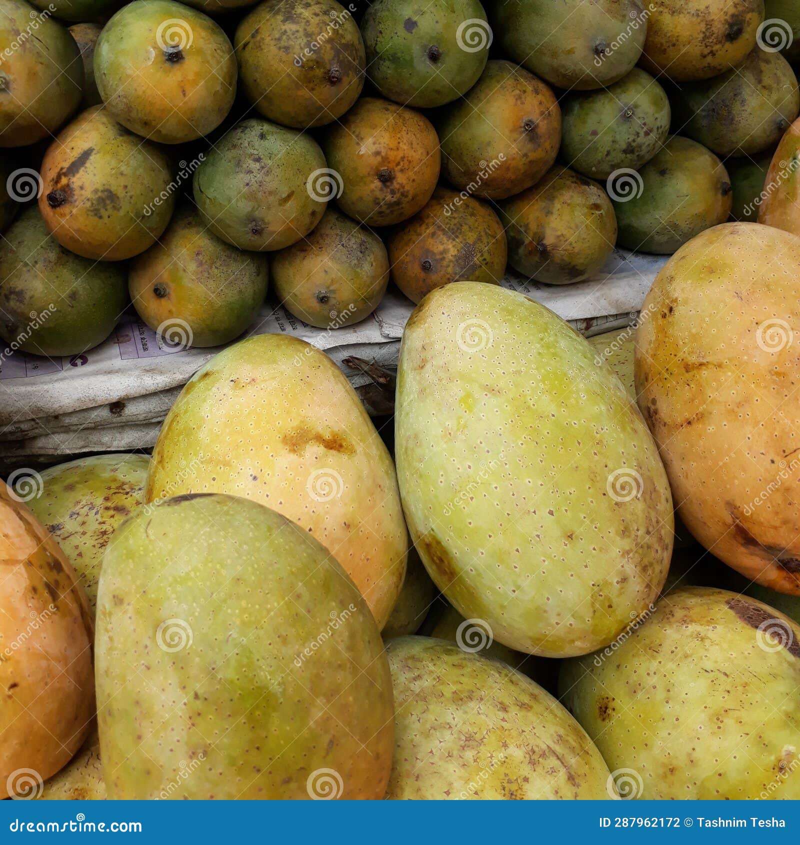 A Mango is an Edible Stone Fruit Produced by the Tropical Tree ...