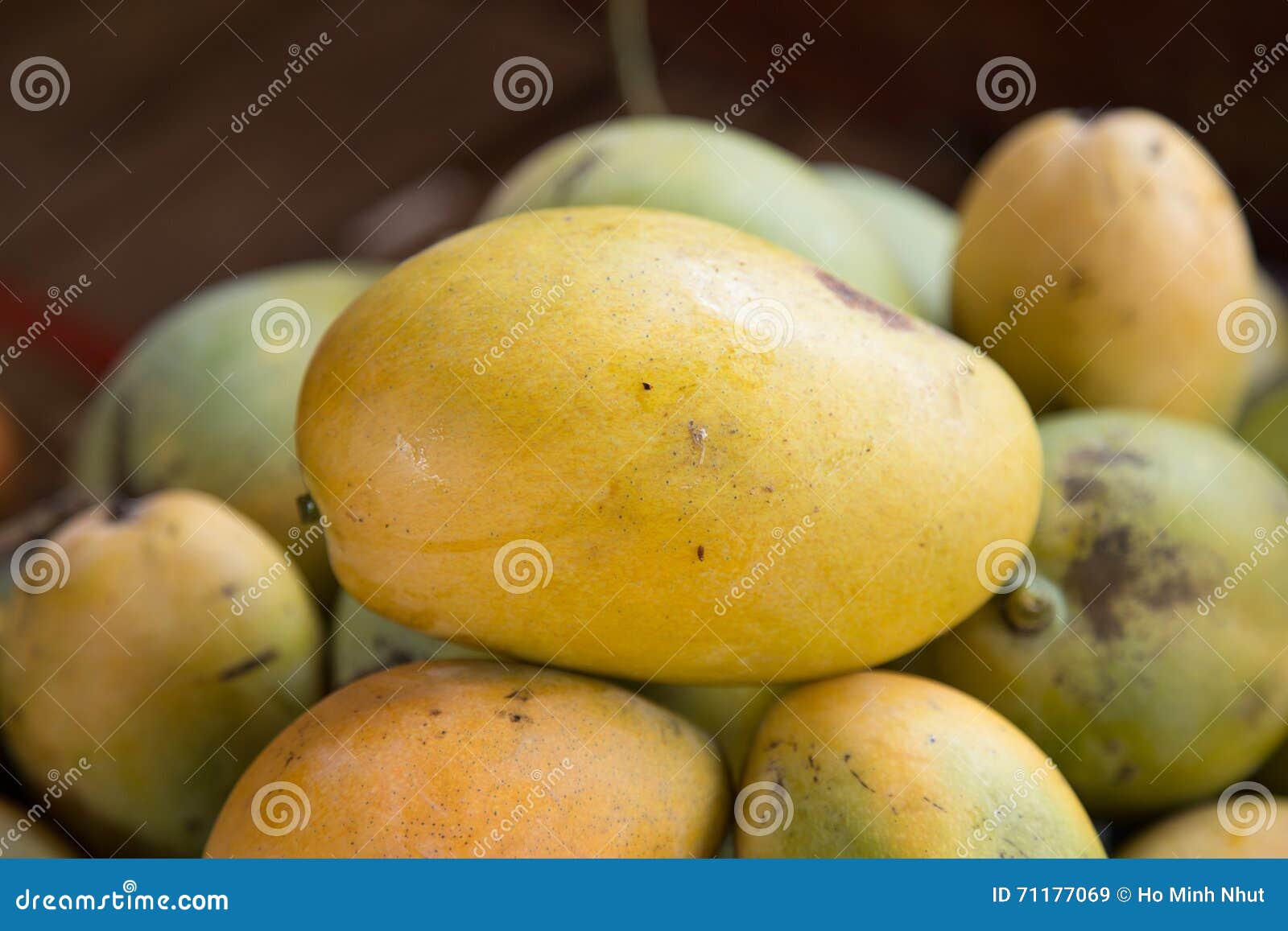 Mango En Asia - Camboya - Vietnam Imagen de archivo - Imagen de jugo ...