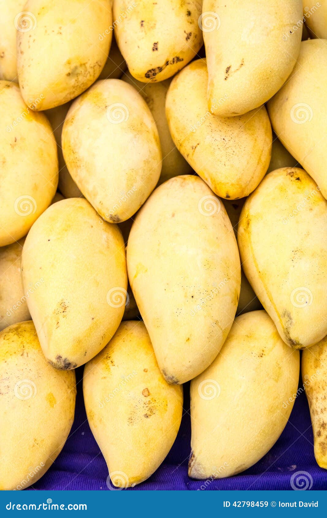 Mango, exotic fruit stock image. Image of eating, thailand - 42798459