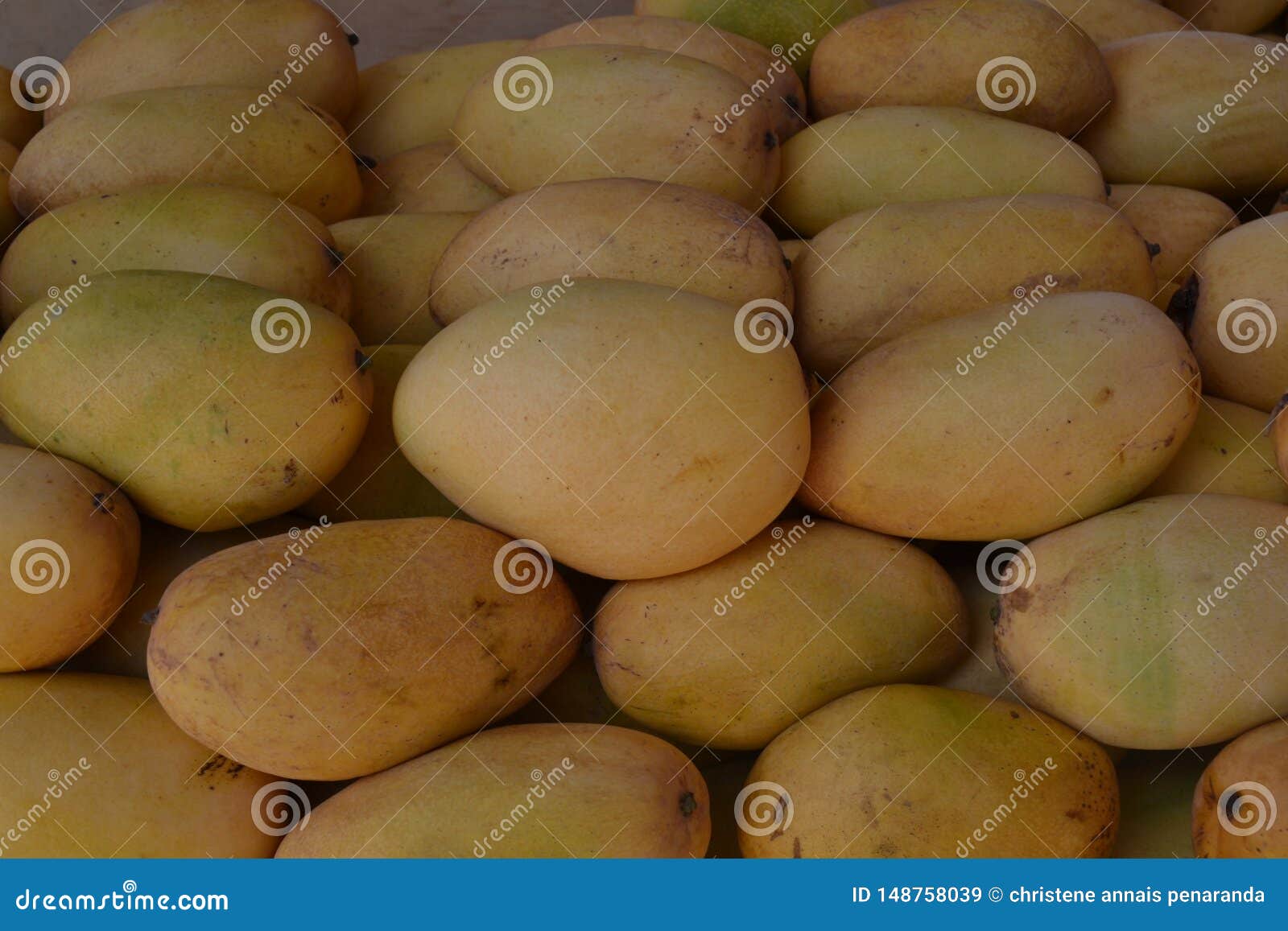 Mango, the Export Product of the Philippines Stock Image - Image of ...