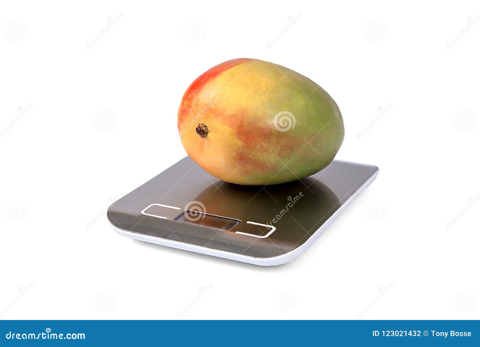 Mango on a Food Scale stock photo. Image of weight, scale - 123021432