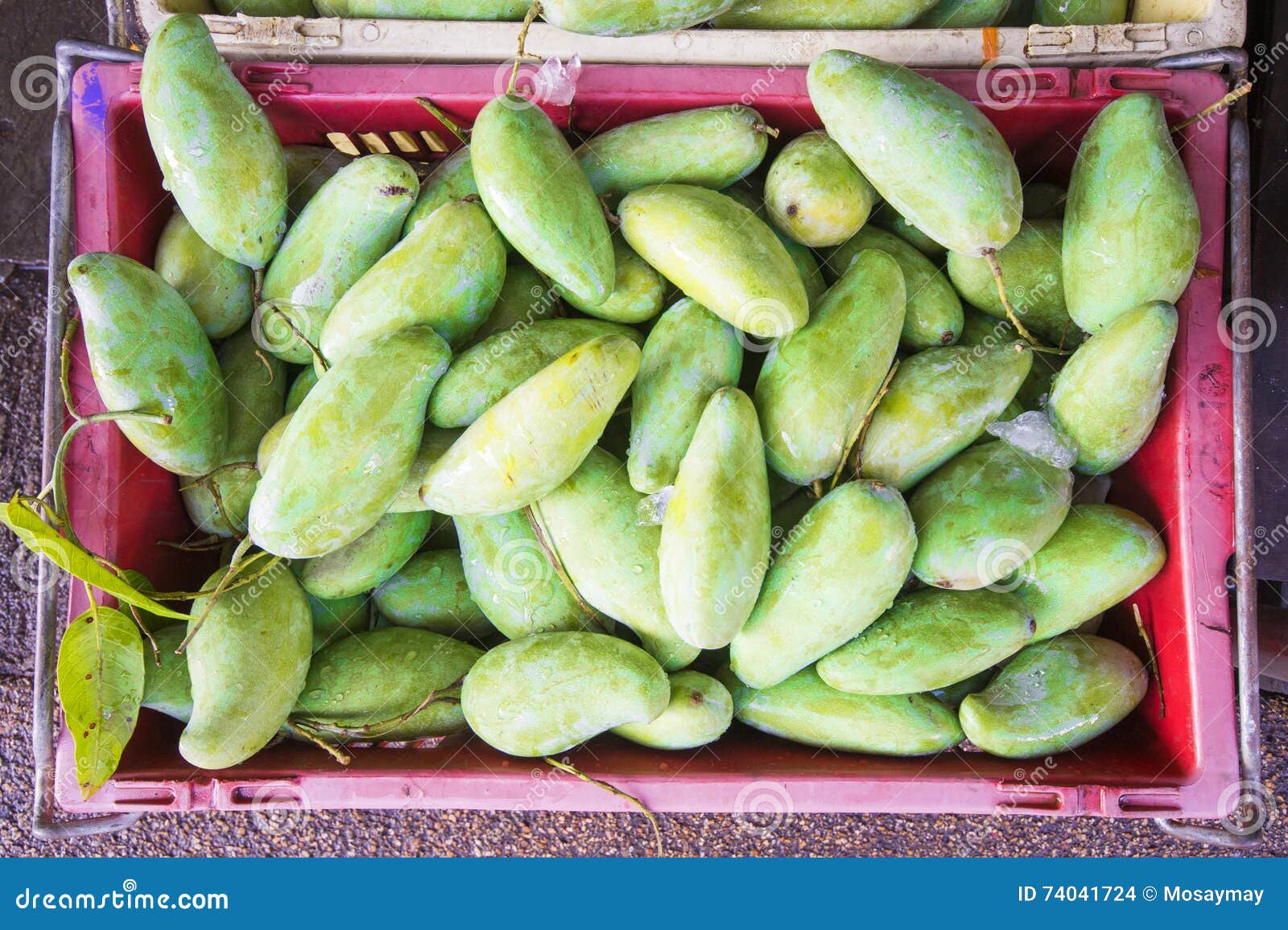 Mango Fresco Dal Giardino Da Vendere Fotografia Stock - Immagine di ...