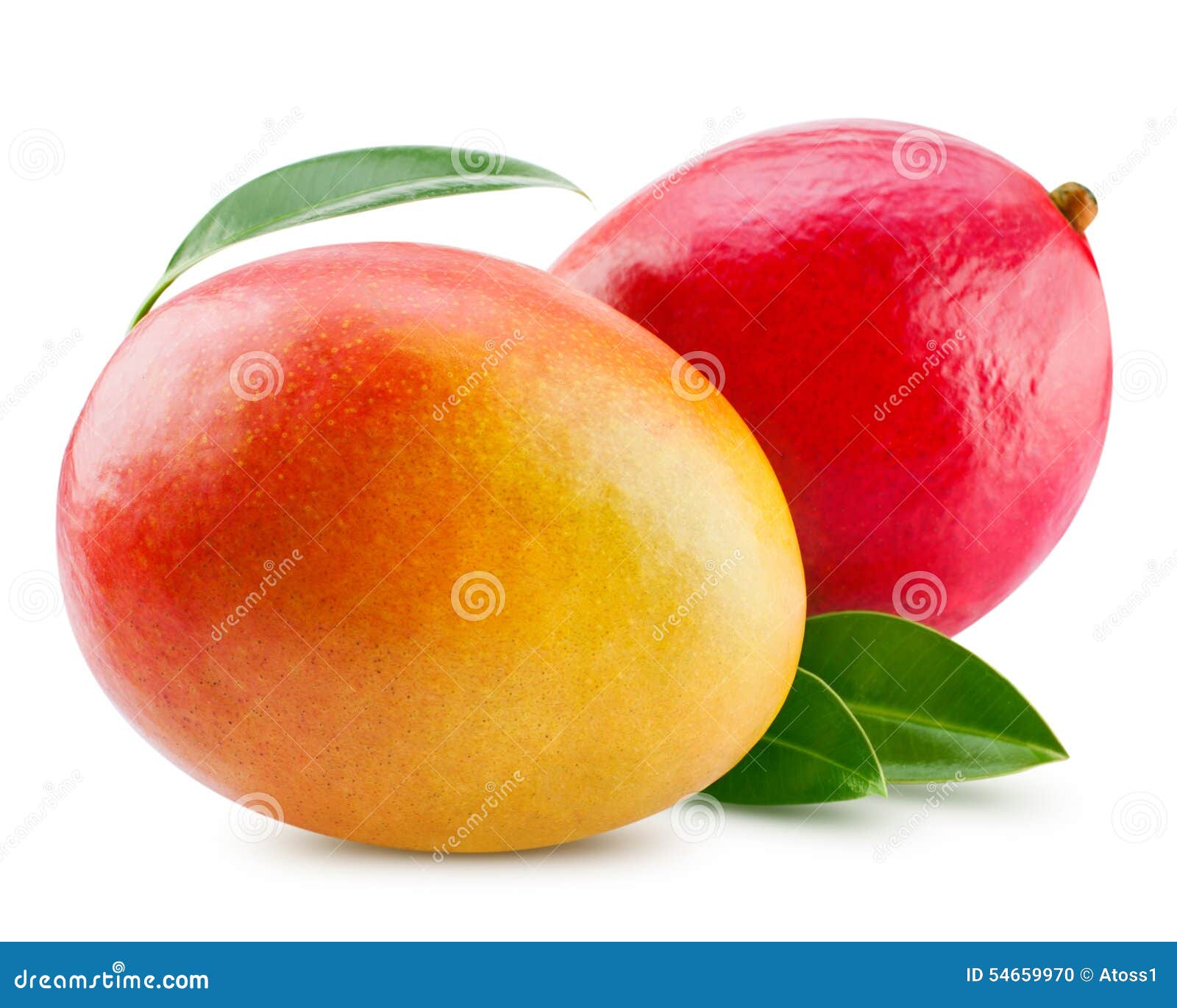 Mango stock photo. Image of object, organic, closeup - 54659970