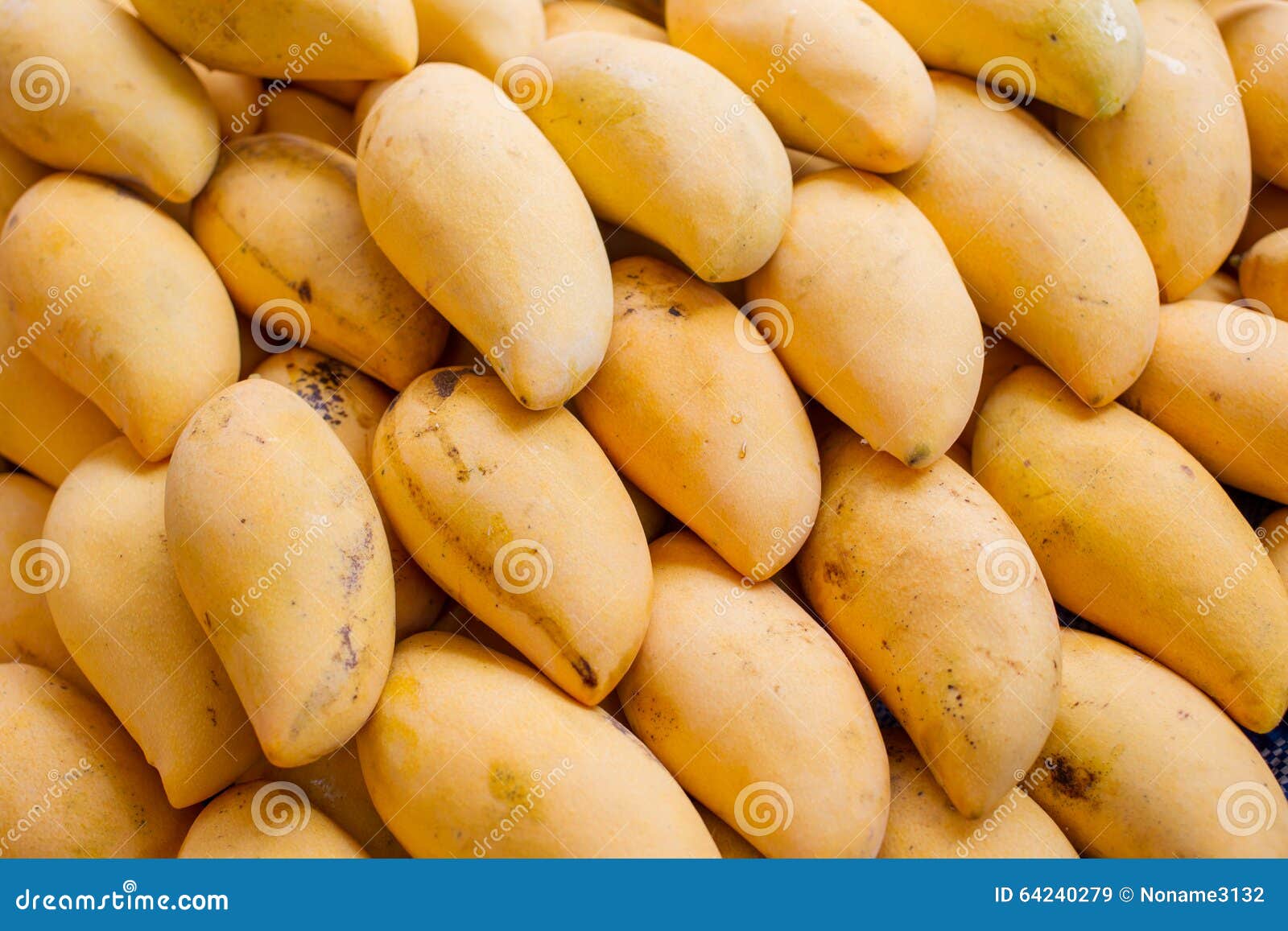 Mango stock image. Image of freshness, asian, juice, ingredient - 64240279