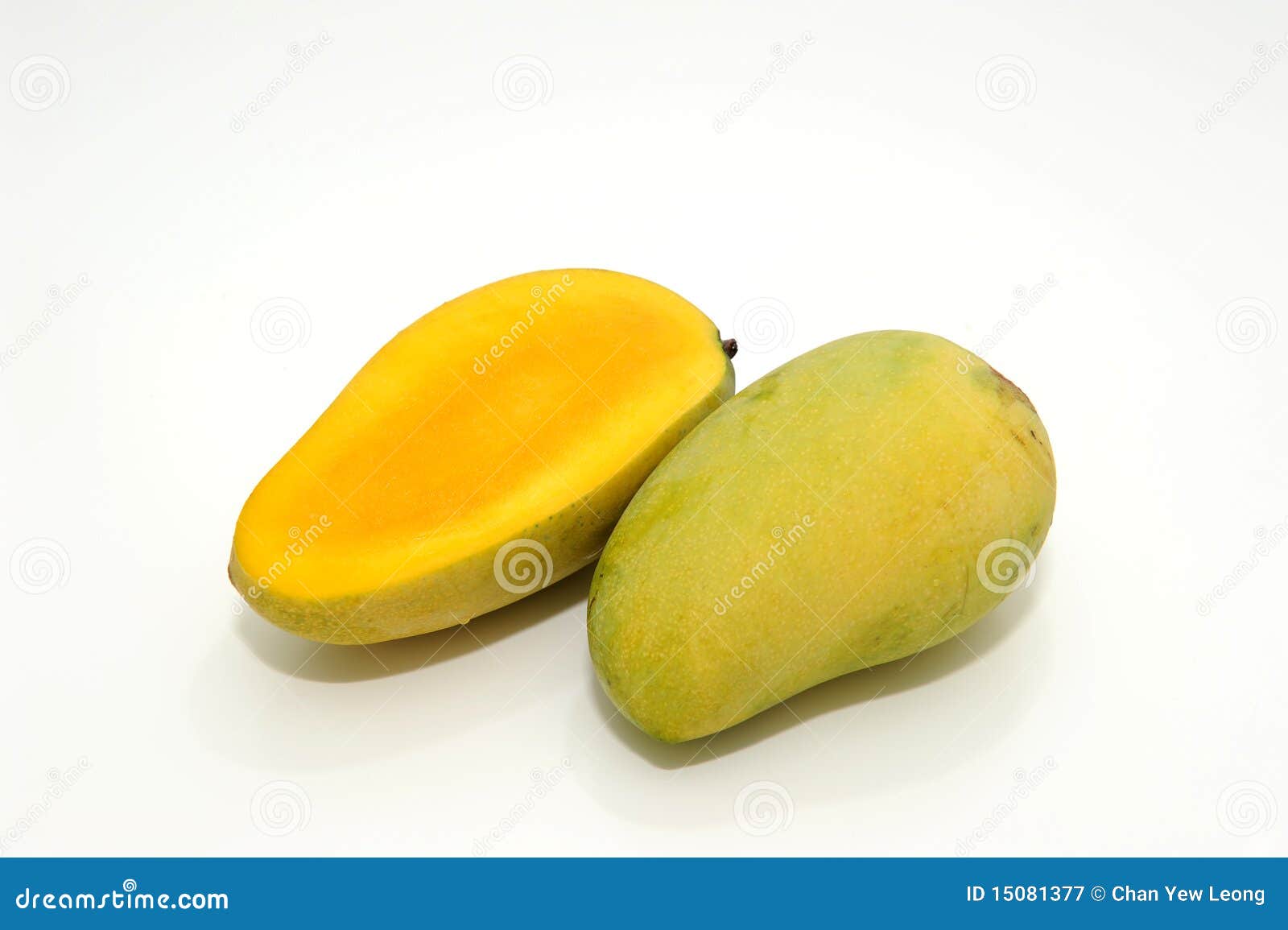 Mango Fruit On A Mango Tree In Mango Garden Background, Red Ivory Mango ...