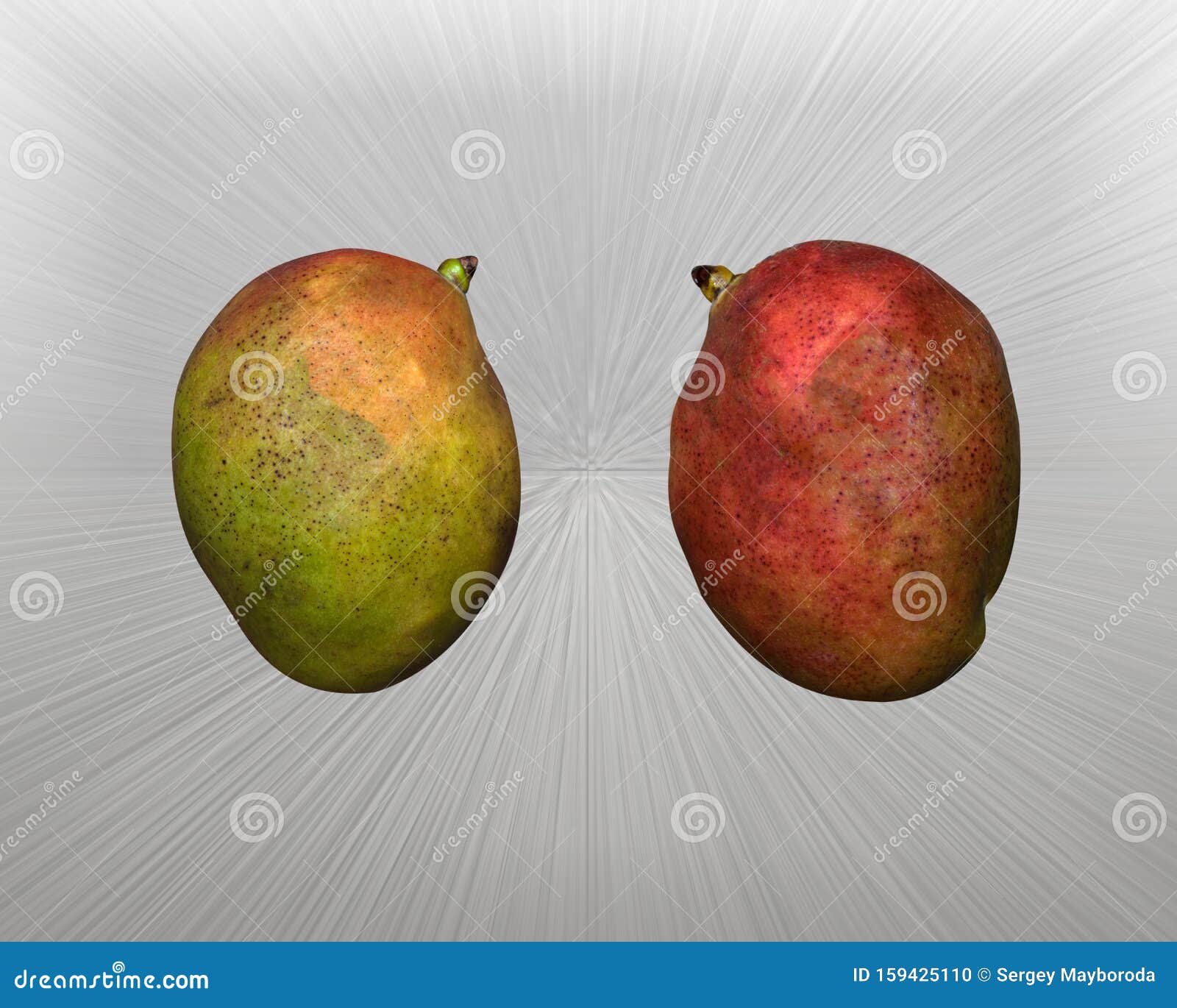 Mango fruit on both sides stock photo. Image of diet - 159425110