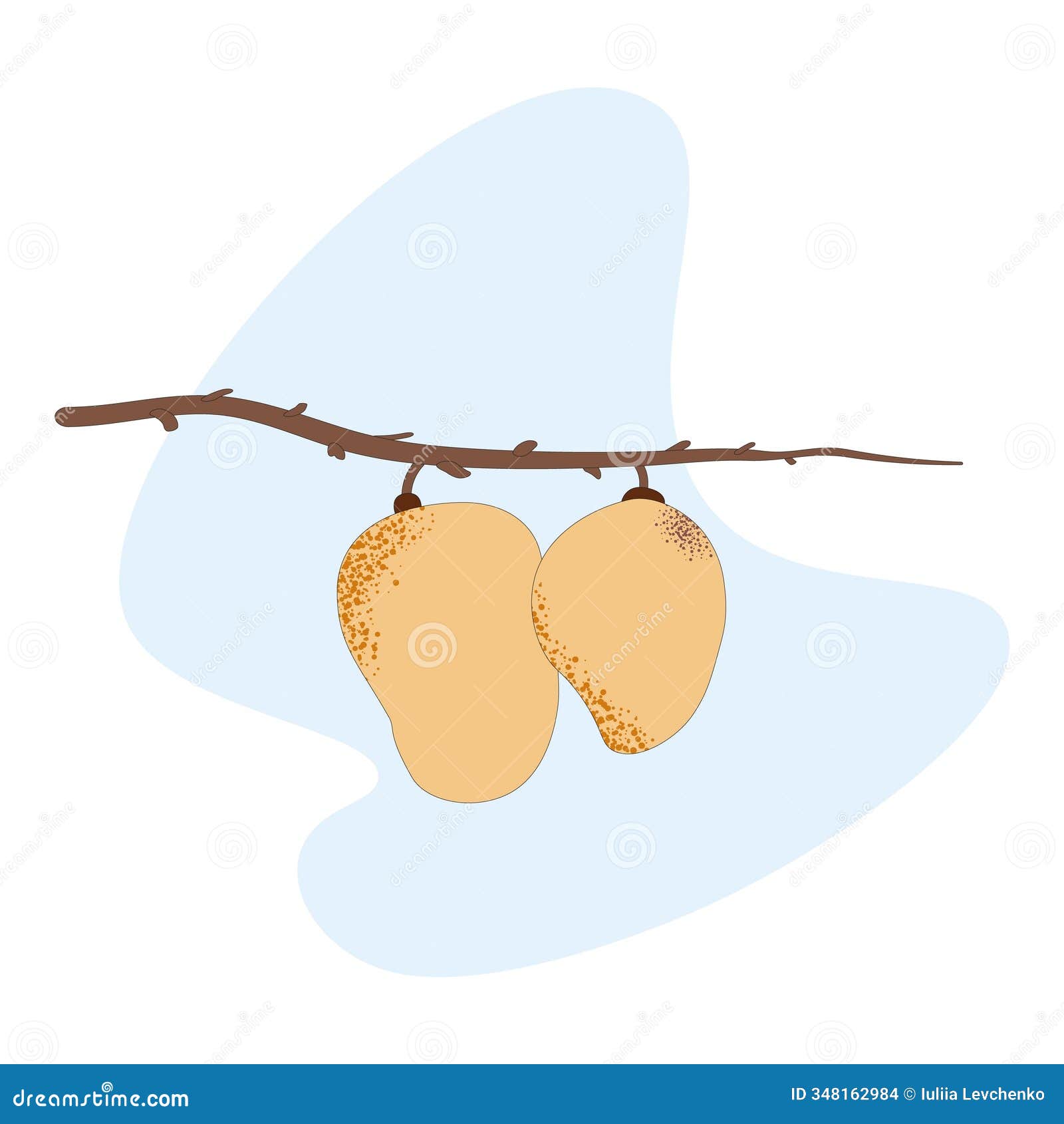 Mango Fruit on a Branch without Leaves Stock Vector - Illustration of ...