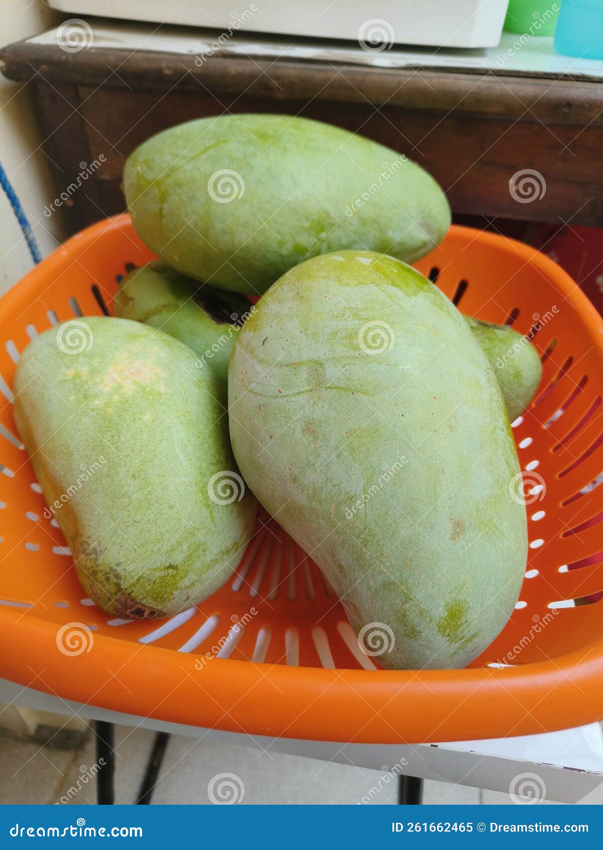 Mango fruit in bucket stock image. Image of mango, bucket - 261662465