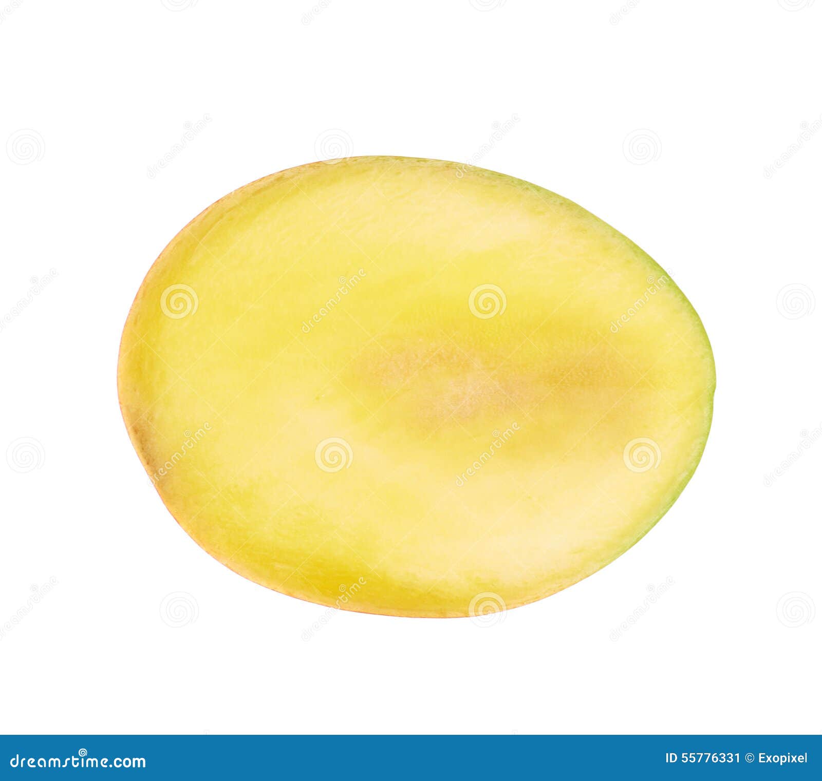 Mango Fruit in Cross Section Stock Image - Image of healthy, mango ...
