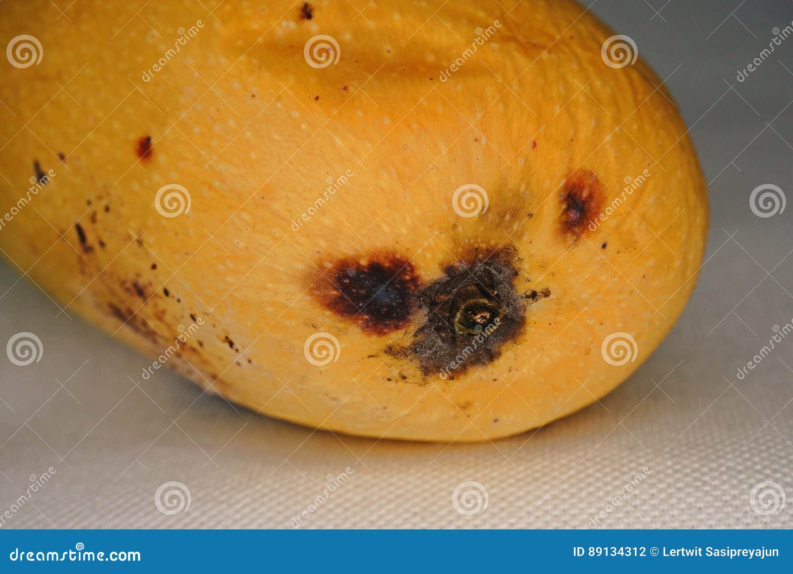 Mango fruit disease stock photo. Image of healthy, detail - 89134312