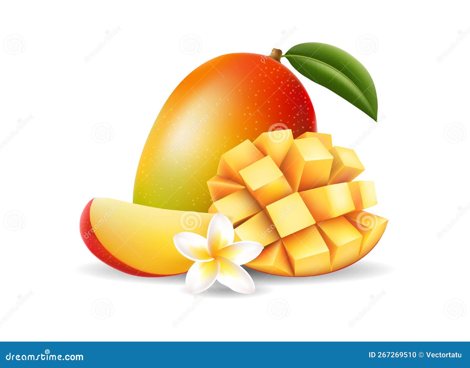 Mango fruit with flower stock vector. Illustration of design - 267269510
