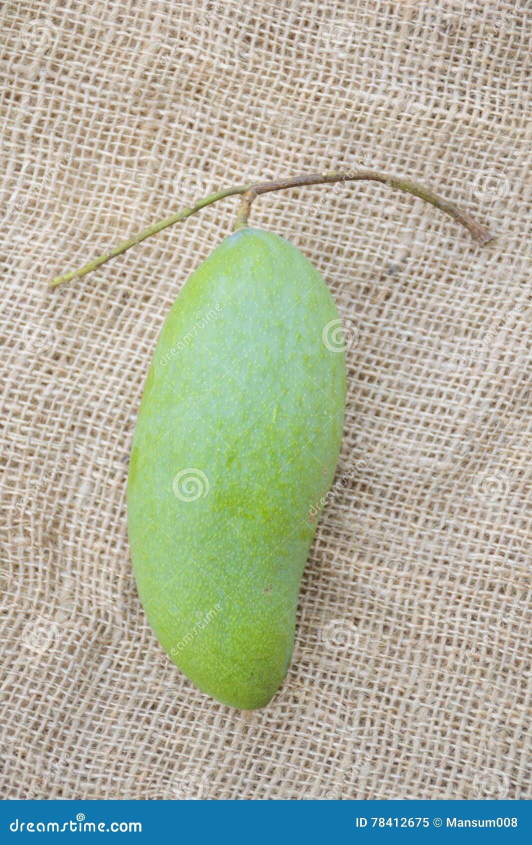 Mango fruit stock image. Image of mango, food, fresh - 78412675