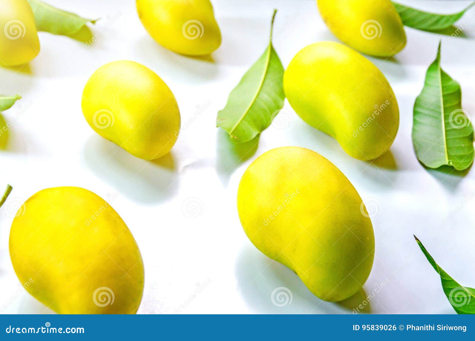 Mango Fruit for Isolated the Background Stock Photo - Image of organic ...