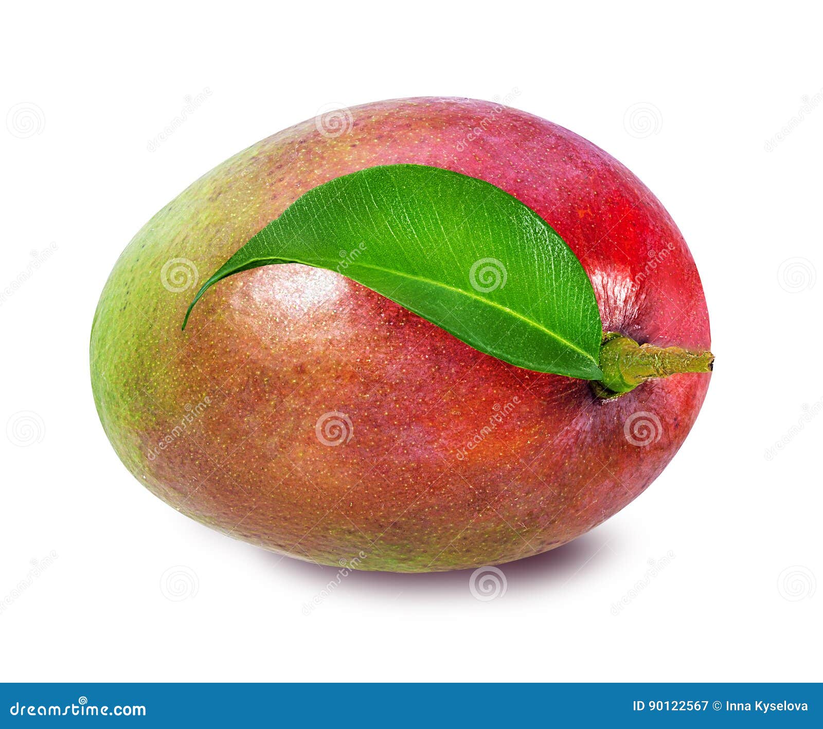 Mango Fruit Isolated on White Stock Image - Image of object, dessert ...