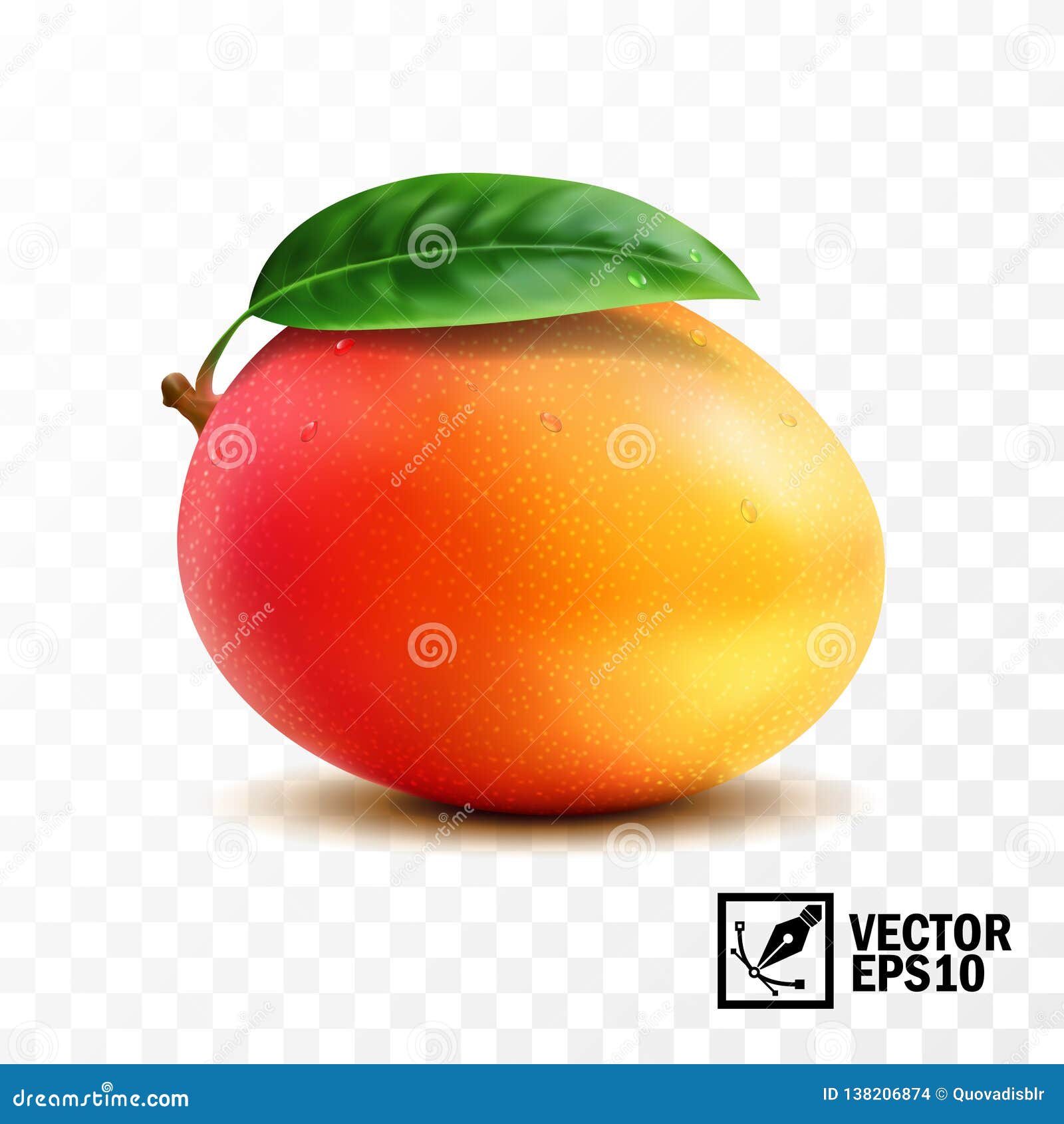 Mango Fruit with Leaf on the Handle ,3D Realistic Isolated Vector ...