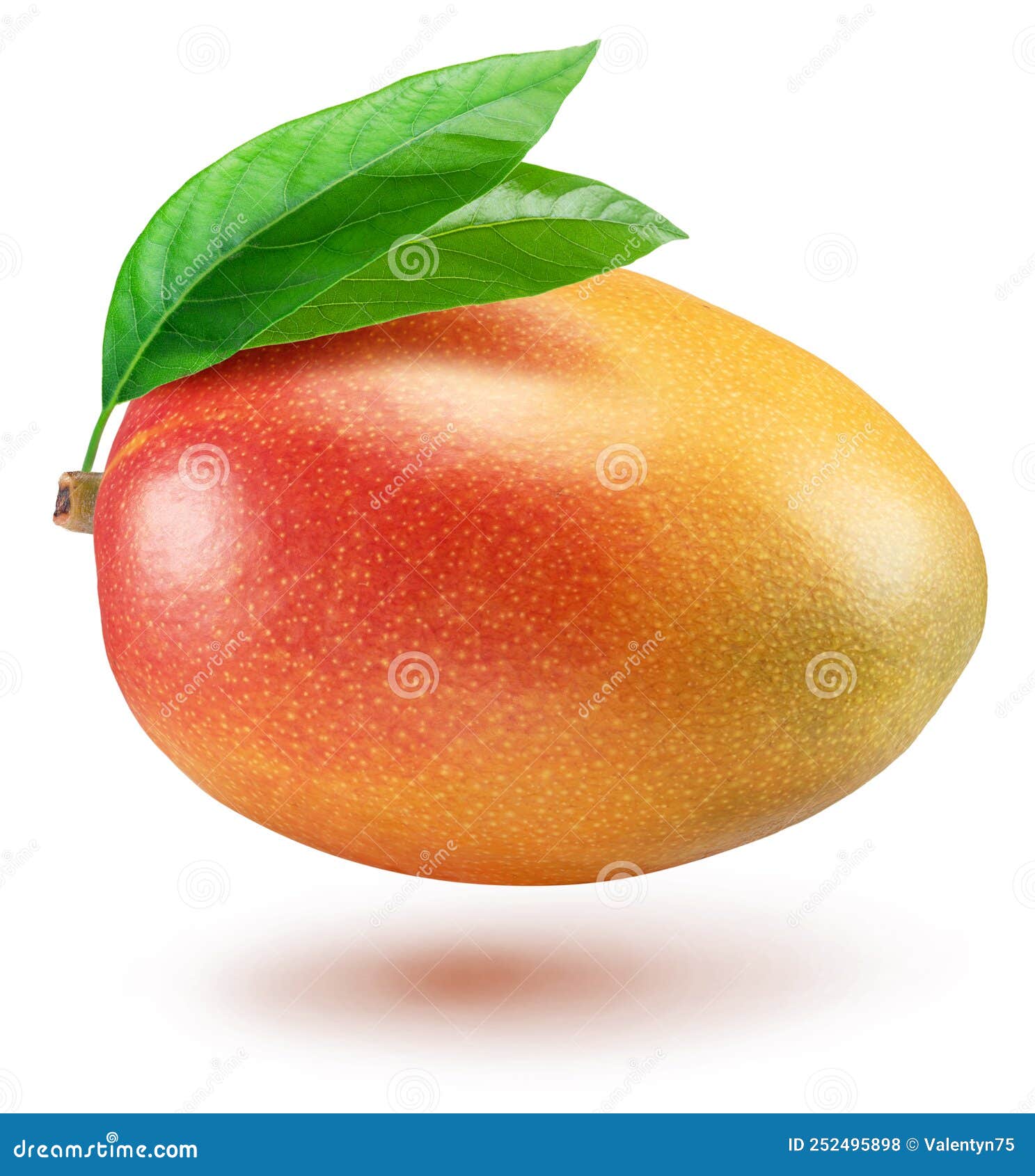 Mango Fruit with Leaves Isolated on White Background. Clipping Path ...