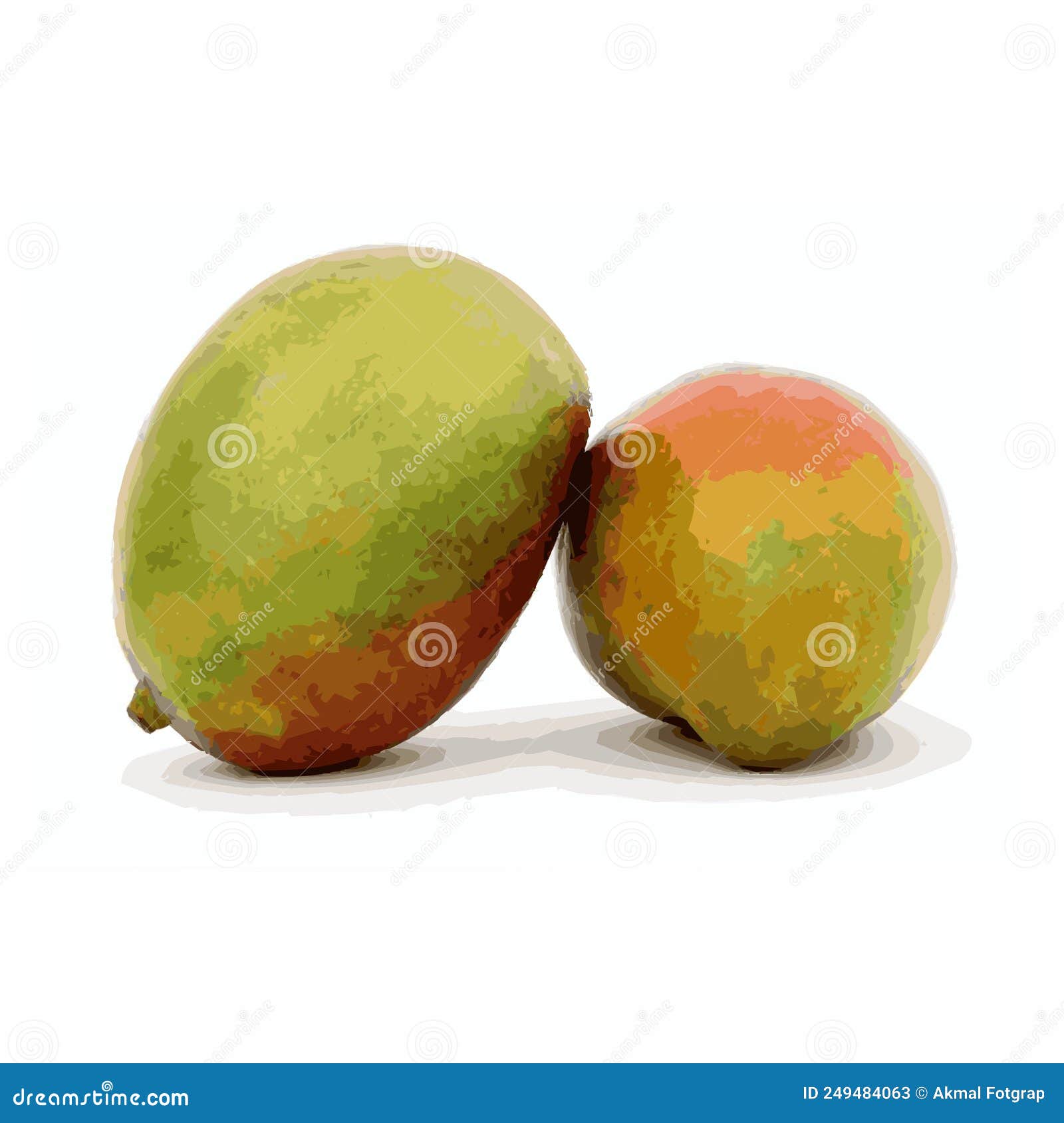 Mango Fruit Object Vector Graphic Illustration Stock Vector ...