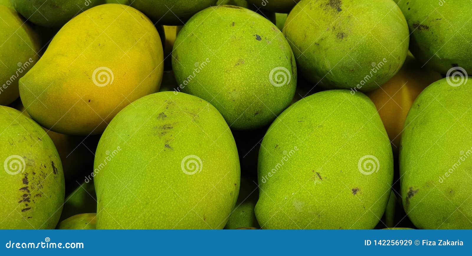 Mango stock image. Image of yellow, mango, fruit, green - 142256929