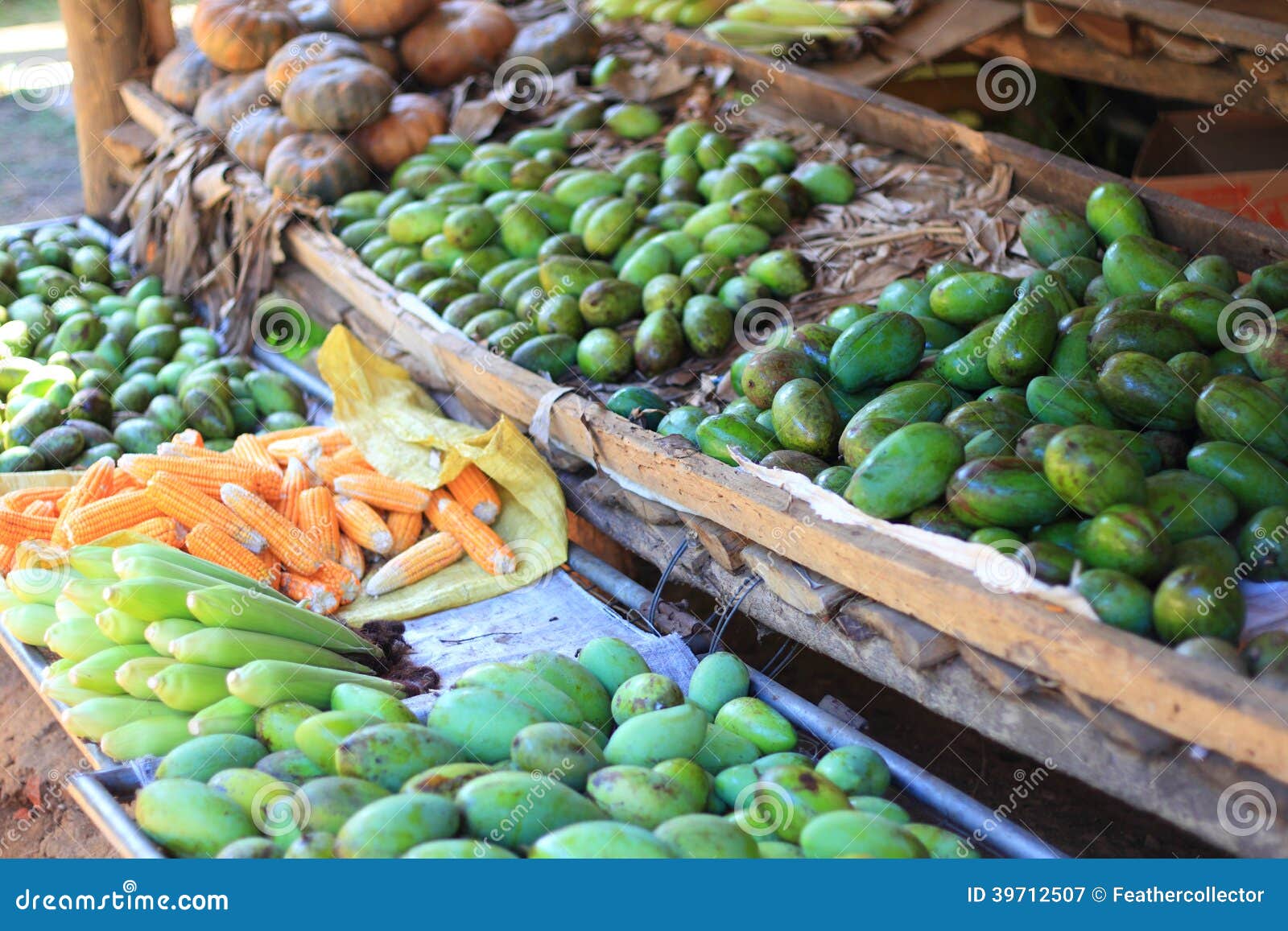 Mango Fruit shop stock image. Image of mangos, natural - 39712507