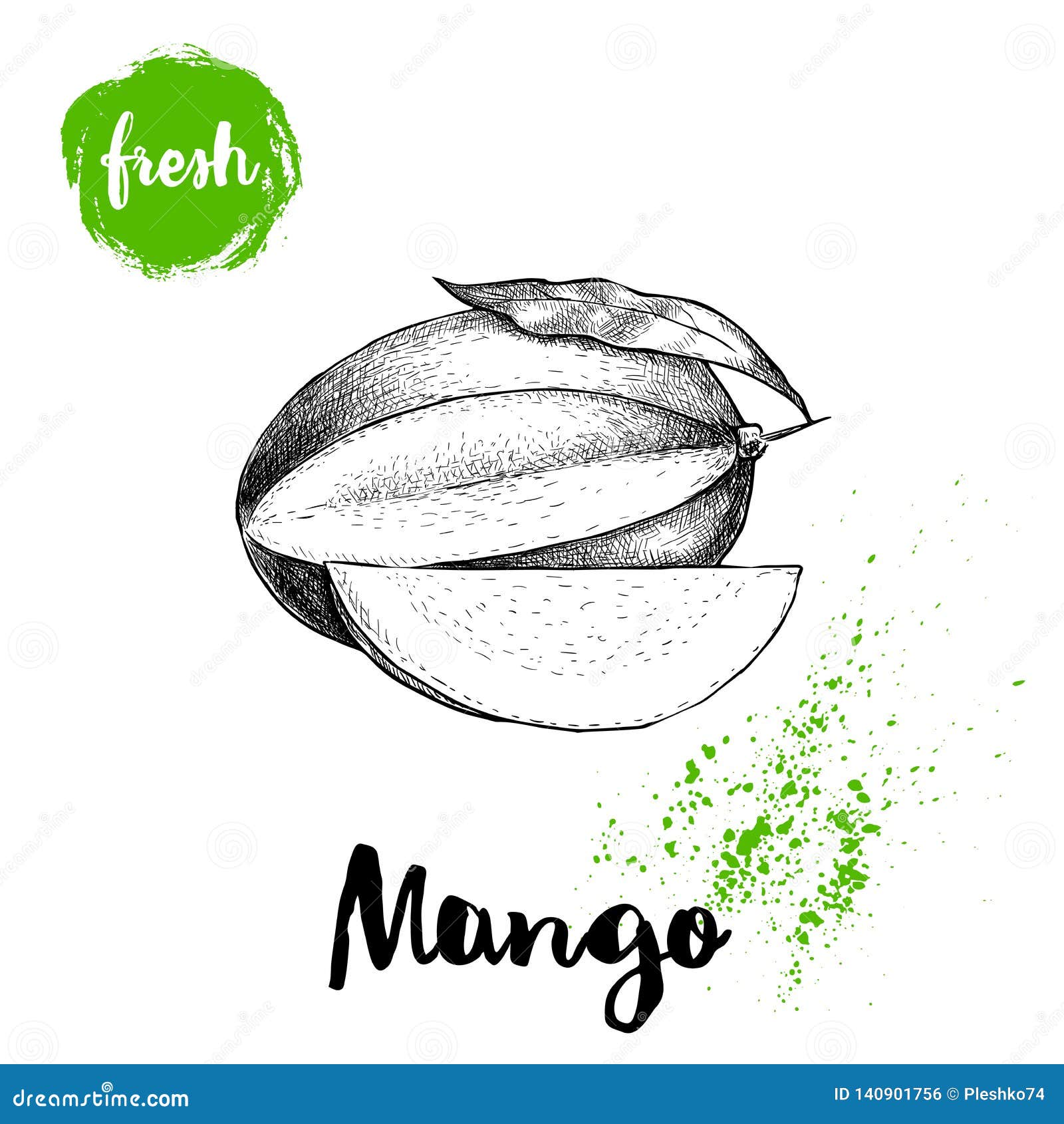 Mango Fruit Sketch Style Vector Illustration. Hand Drawn Poster. Exotic ...
