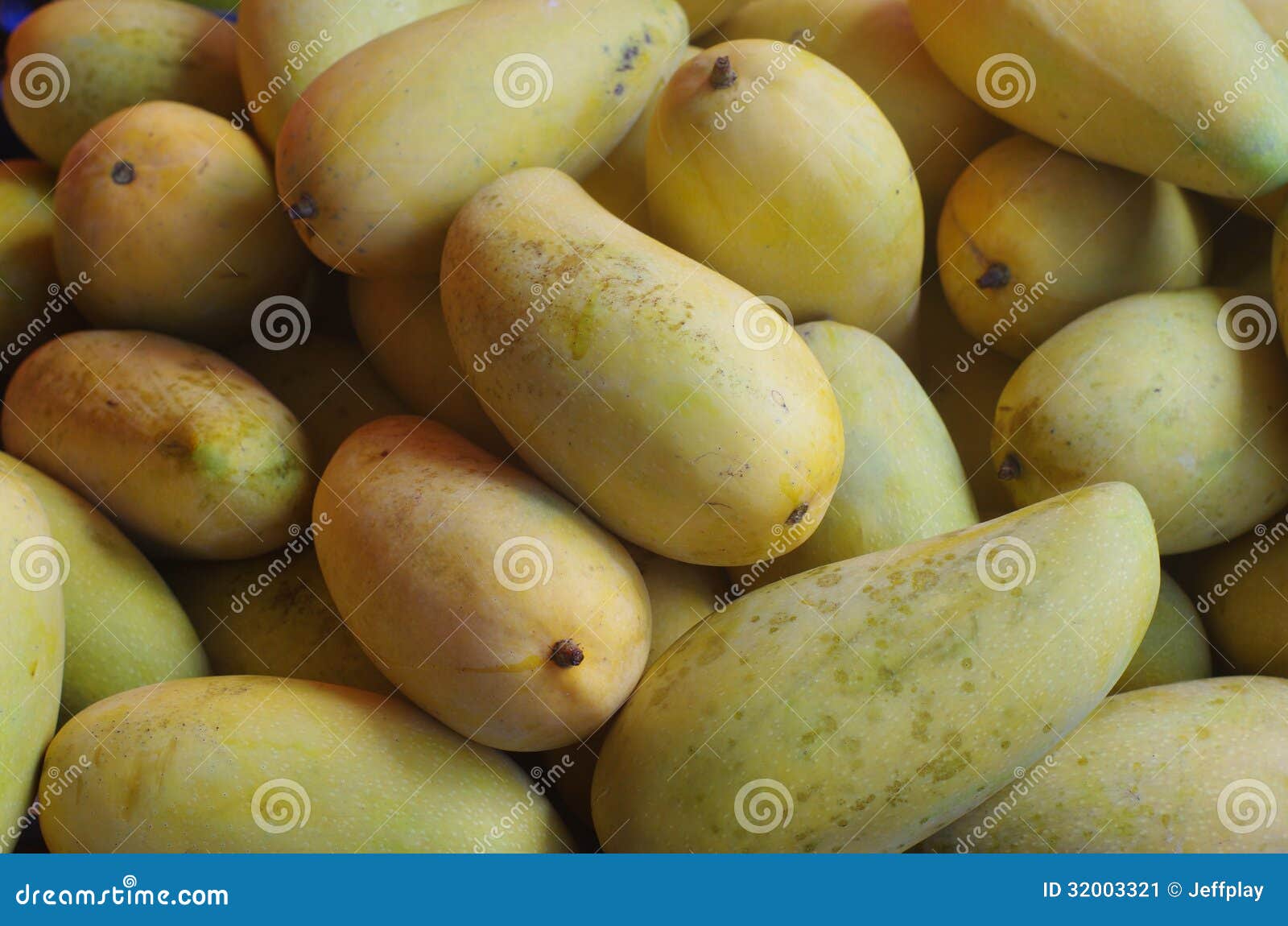 Mango stock image. Image of vegetable, fresh, green, mature - 32003321