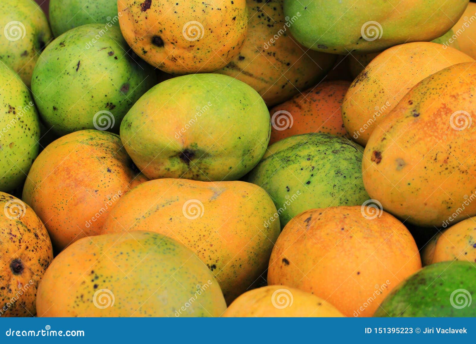 Mango fruit texture stock image. Image of sweet, nature - 151395223