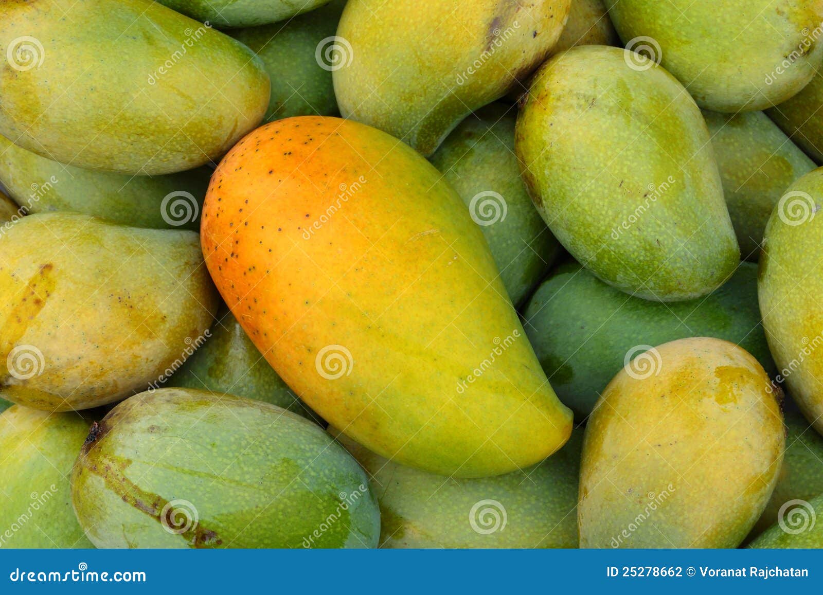 Mango fruit , Thailand stock photo. Image of nutrition - 25278662
