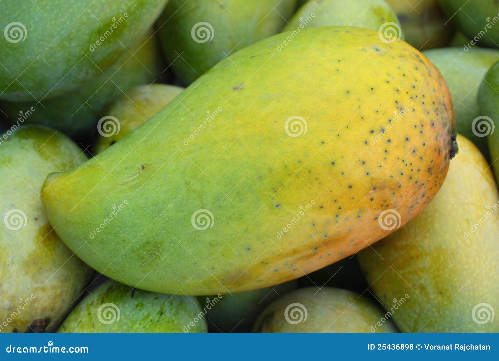 Mango fruit , thailand stock photo. Image of eating, nutrition - 25436898