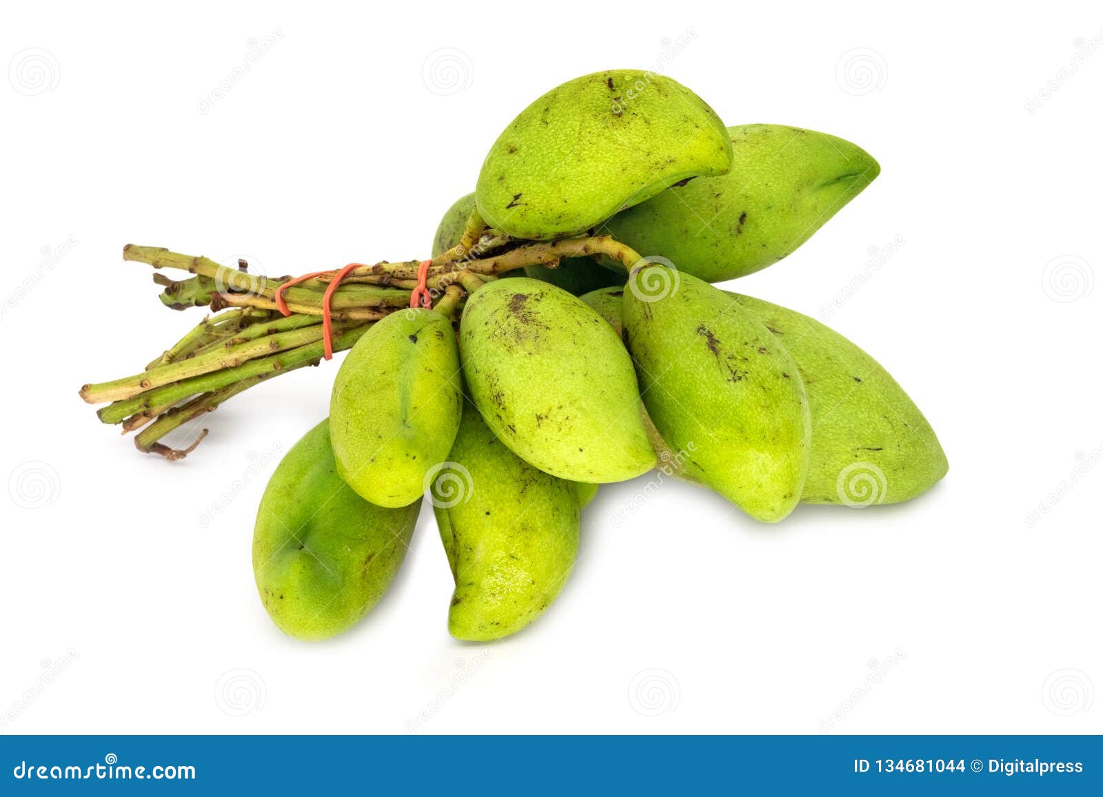 Mango Fruit with Twig stock photo. Image of white, sweet - 134681044
