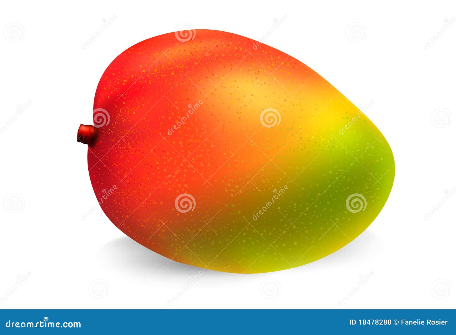 Mango fruit vector stock vector. Illustration of vector - 18478280