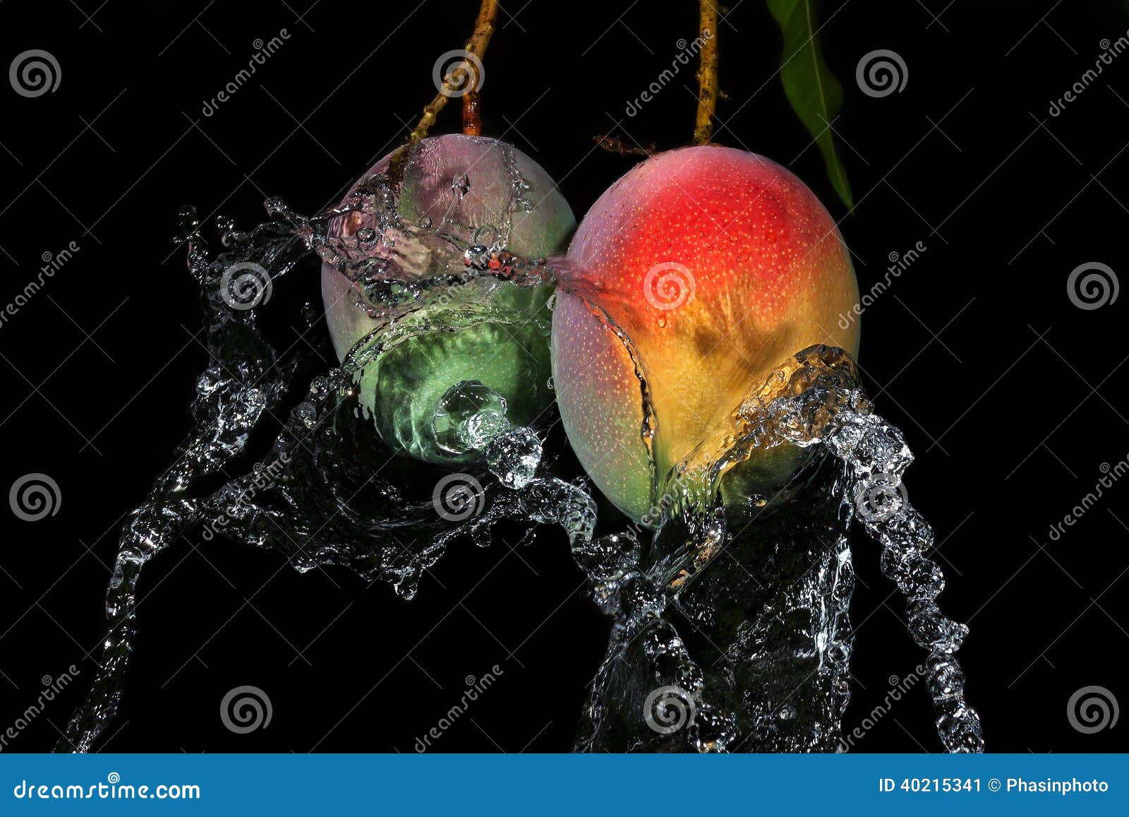 Mango Fruit in Water Splash Stock Image - Image of mangoes, droplets ...
