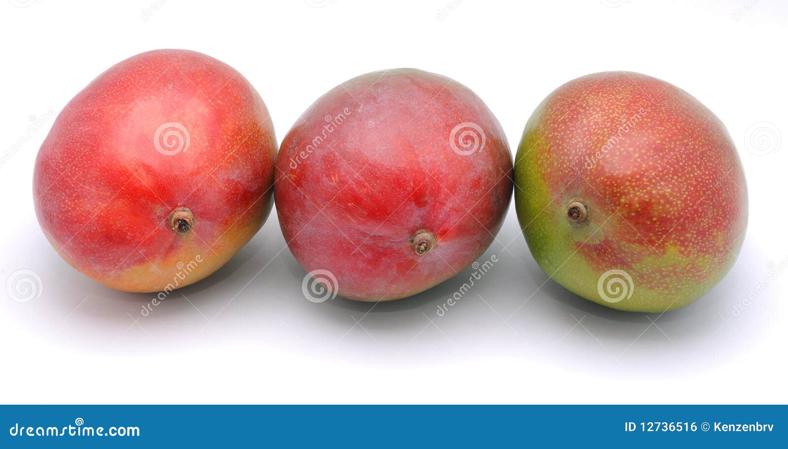 Mango fruits stock photo. Image of good, ingredient, yellow - 12736516
