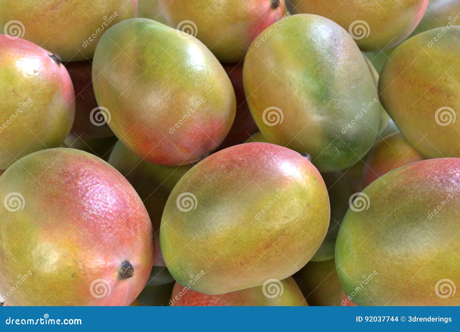 Mango fruits stock illustration. Illustration of juicy - 92037744