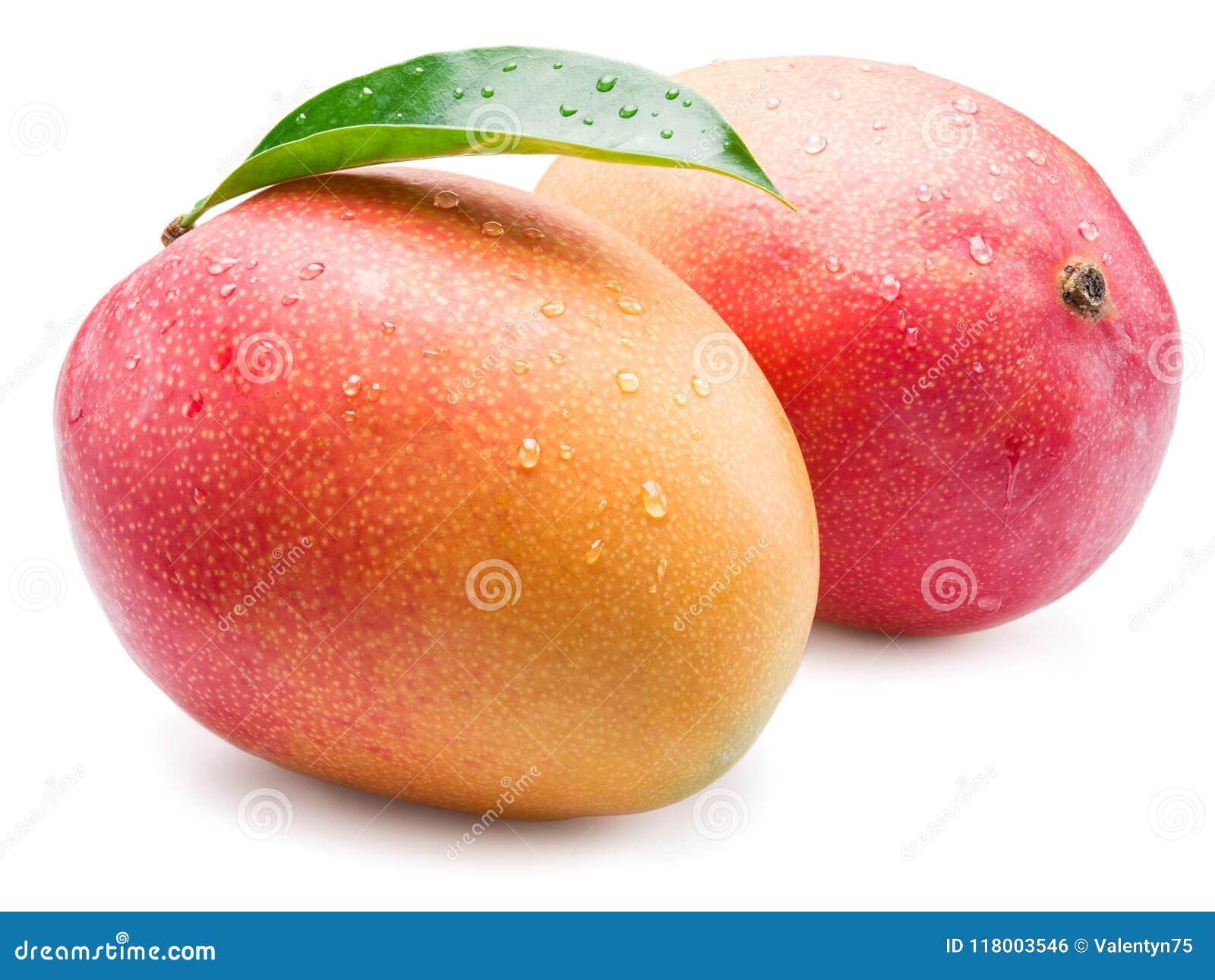 Mango Fruits with Water Drops. Isolated on a White Background Stock ...