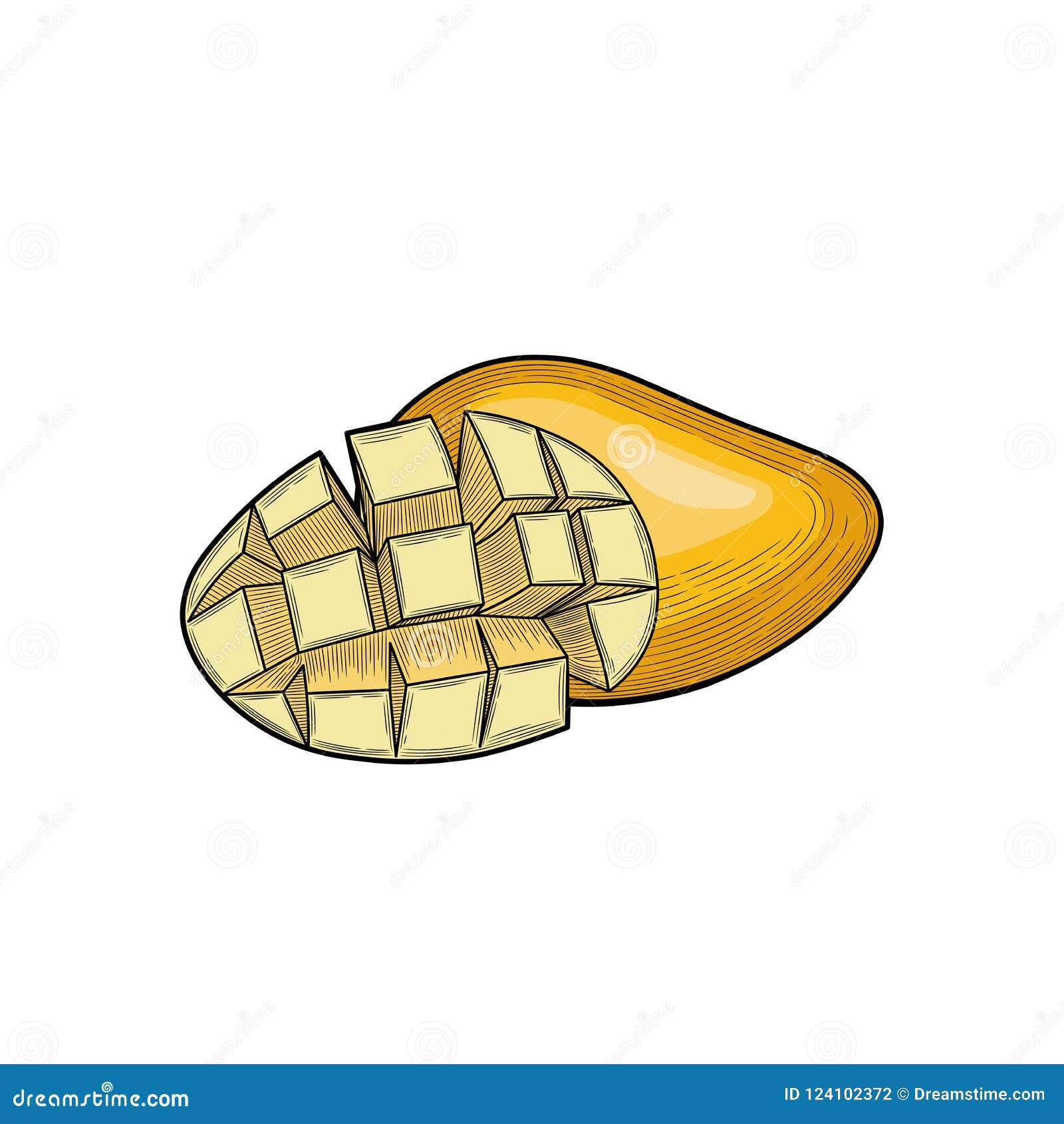 Mango. Half a Mango. Fruit Crop. Exotic Fruit Stock Vector ...