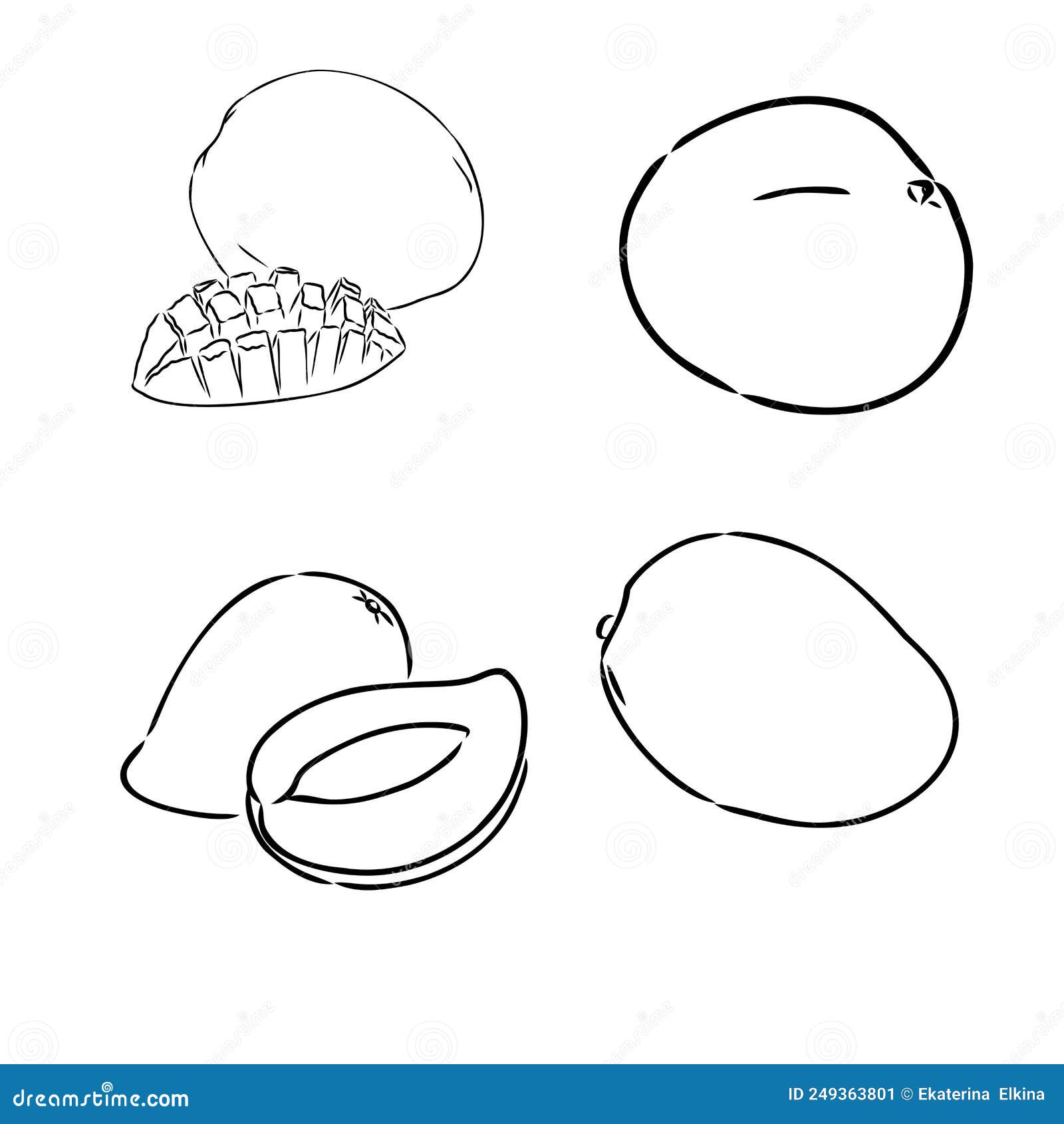 Mango Hand Drawn Collection by Ink and Pen Sketch. Stock Illustration ...