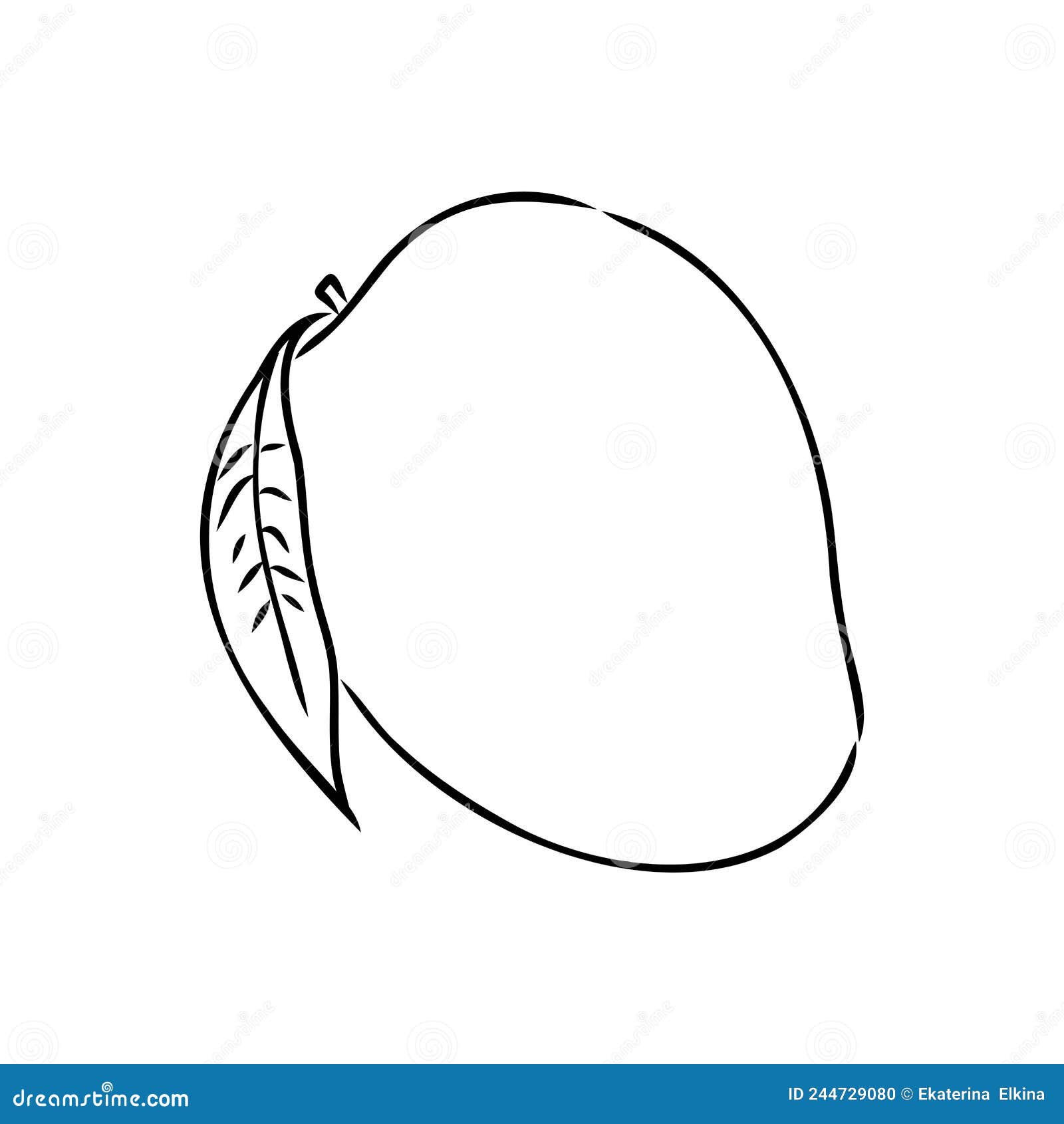 Mango Hand Drawn Illustration by Ink and Pen Sketch. Isolated Vector ...